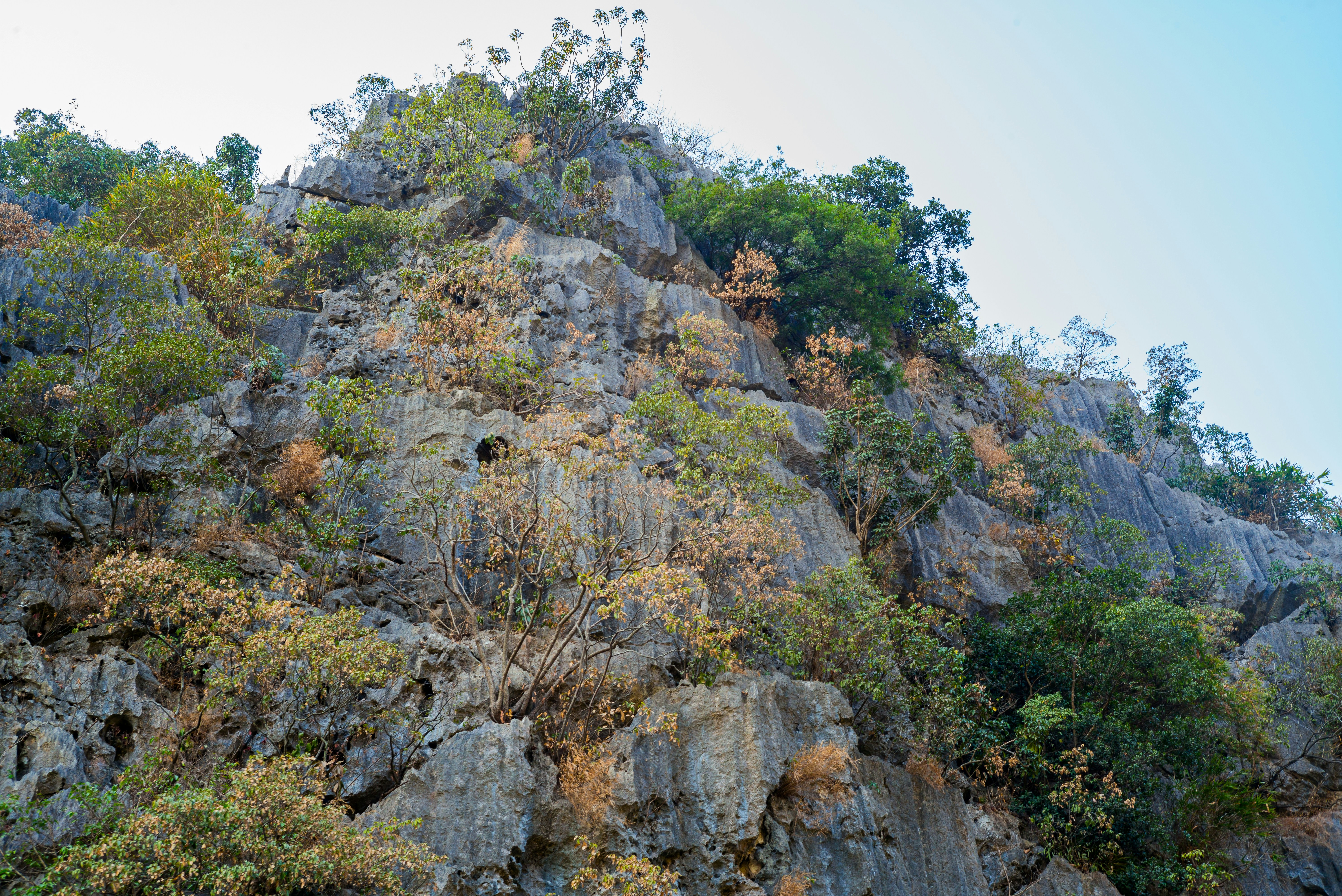 Rocky hillside with scattered green and brown foliage under a clear sky.