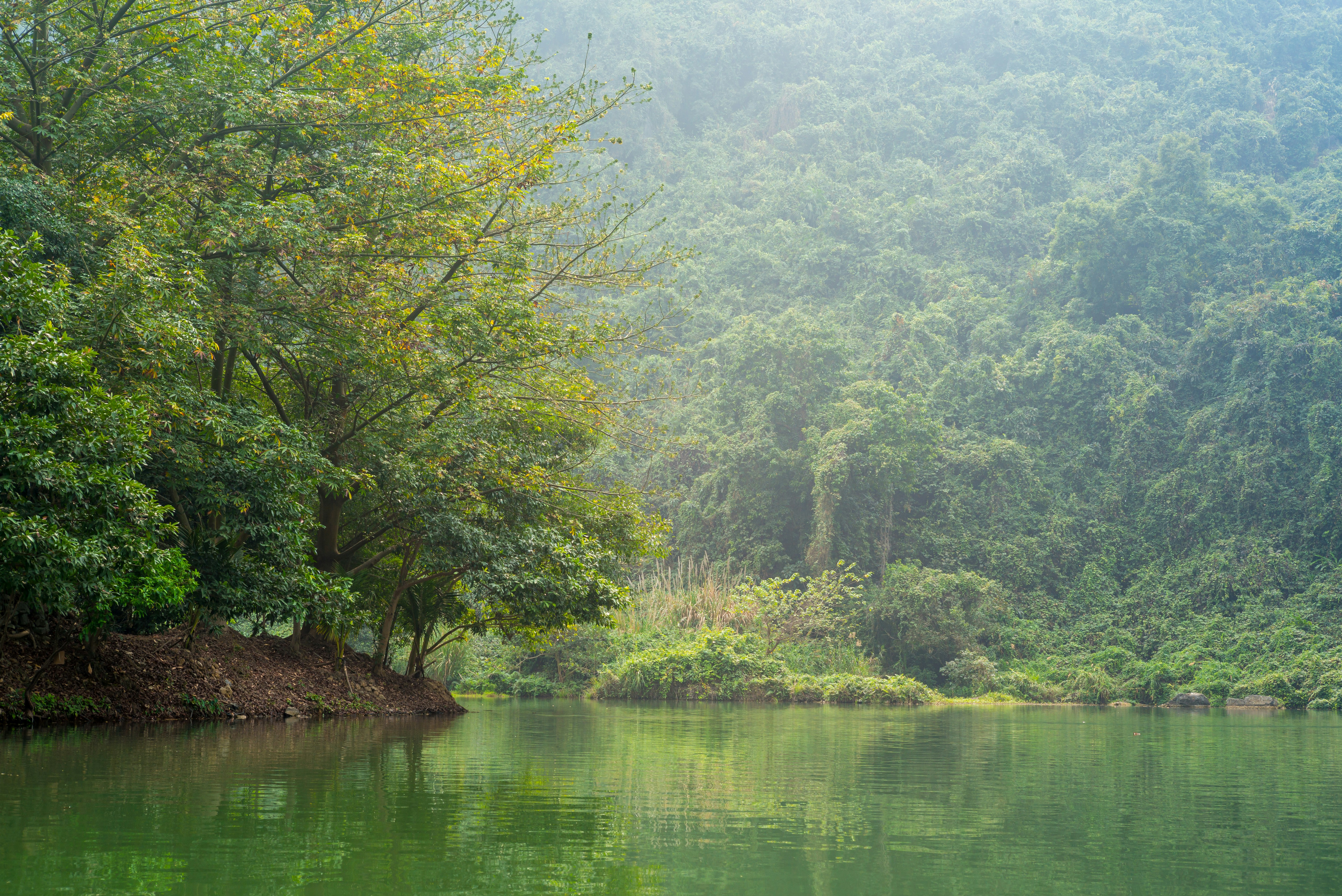 Lush trees overhang a serene green lake with misty hills in the background.