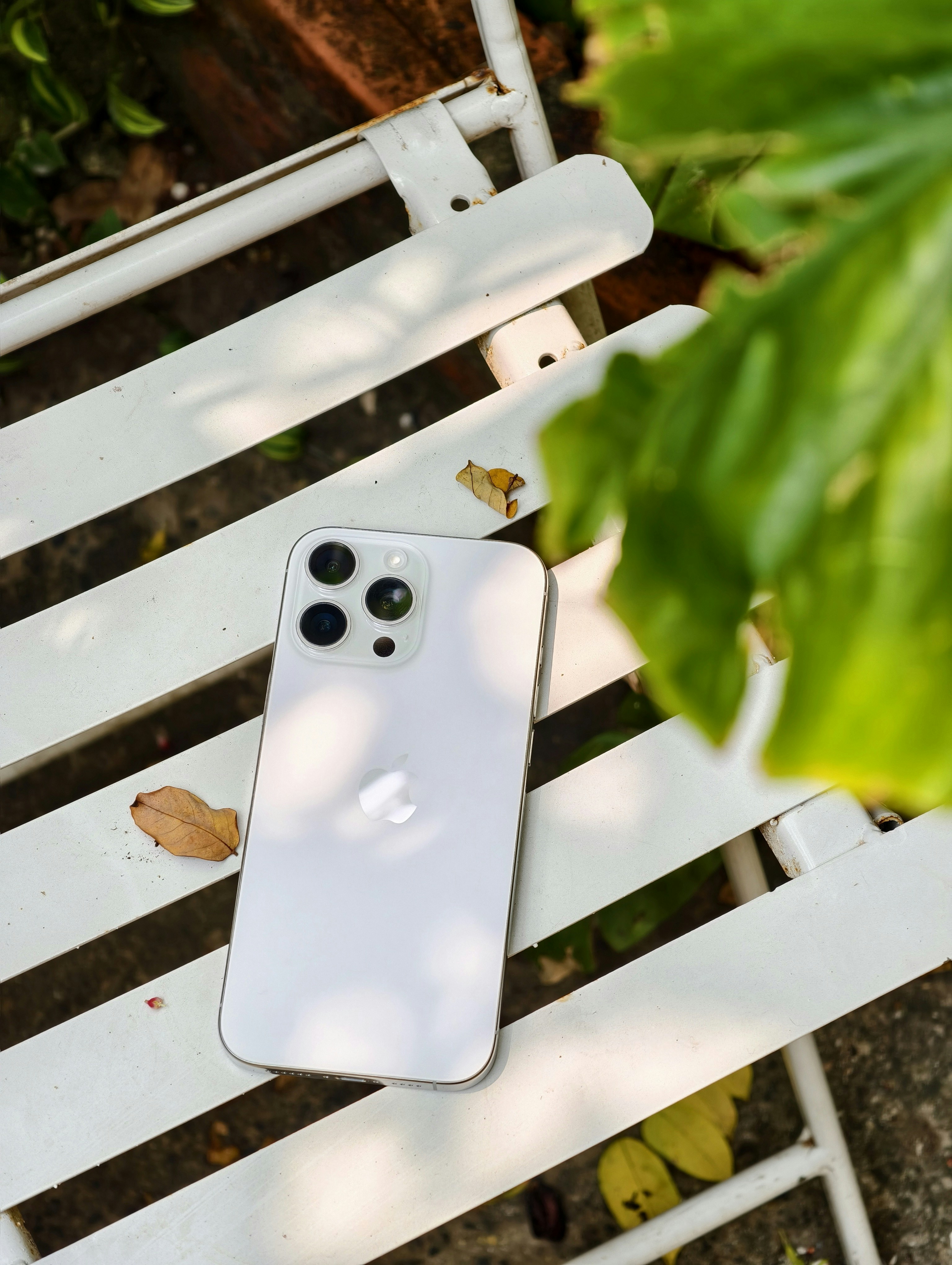 Sunlit iPhone rests on a white garden bench among green leaves