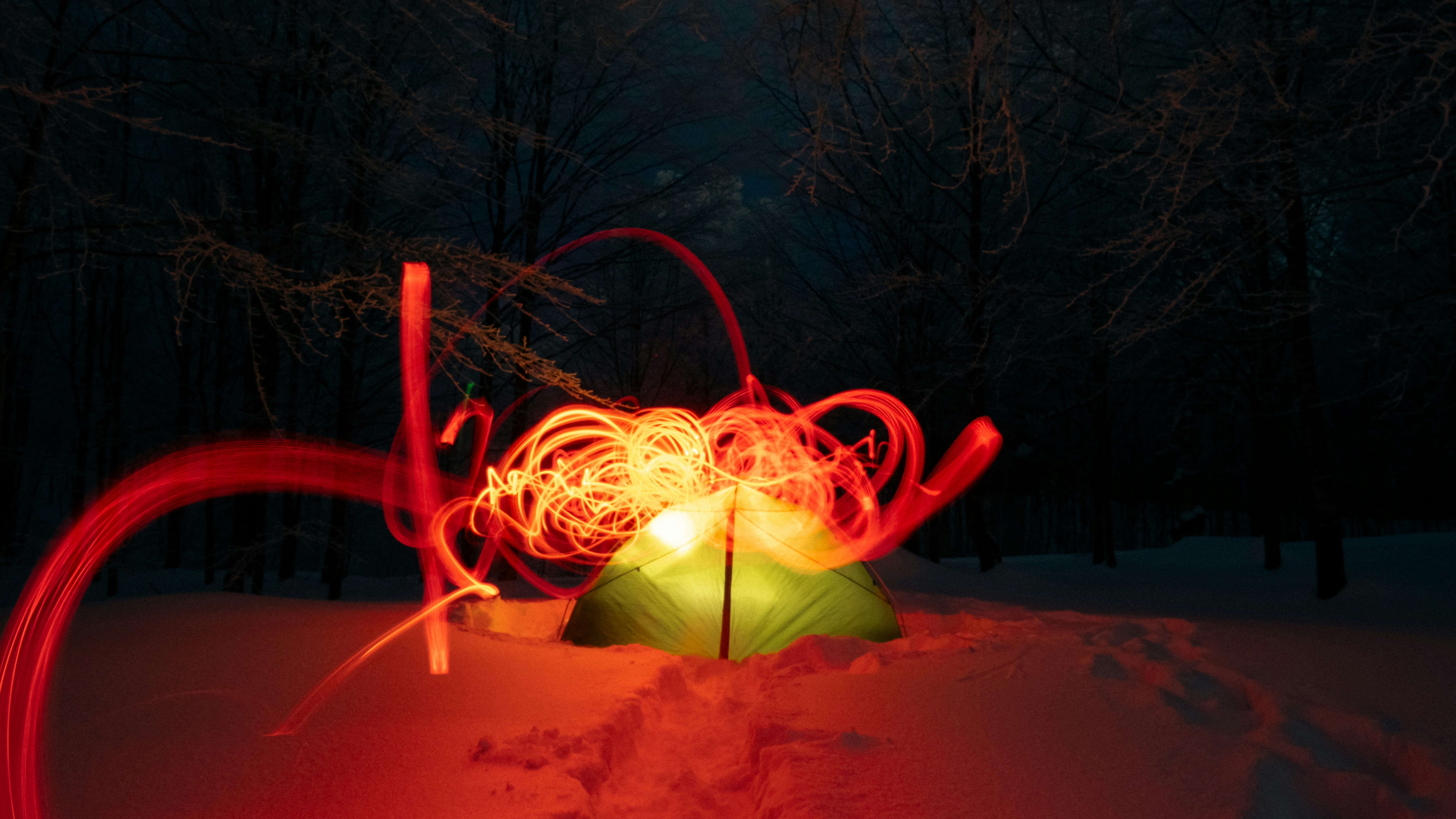 Enchanted Night Dance in Snowy Woods