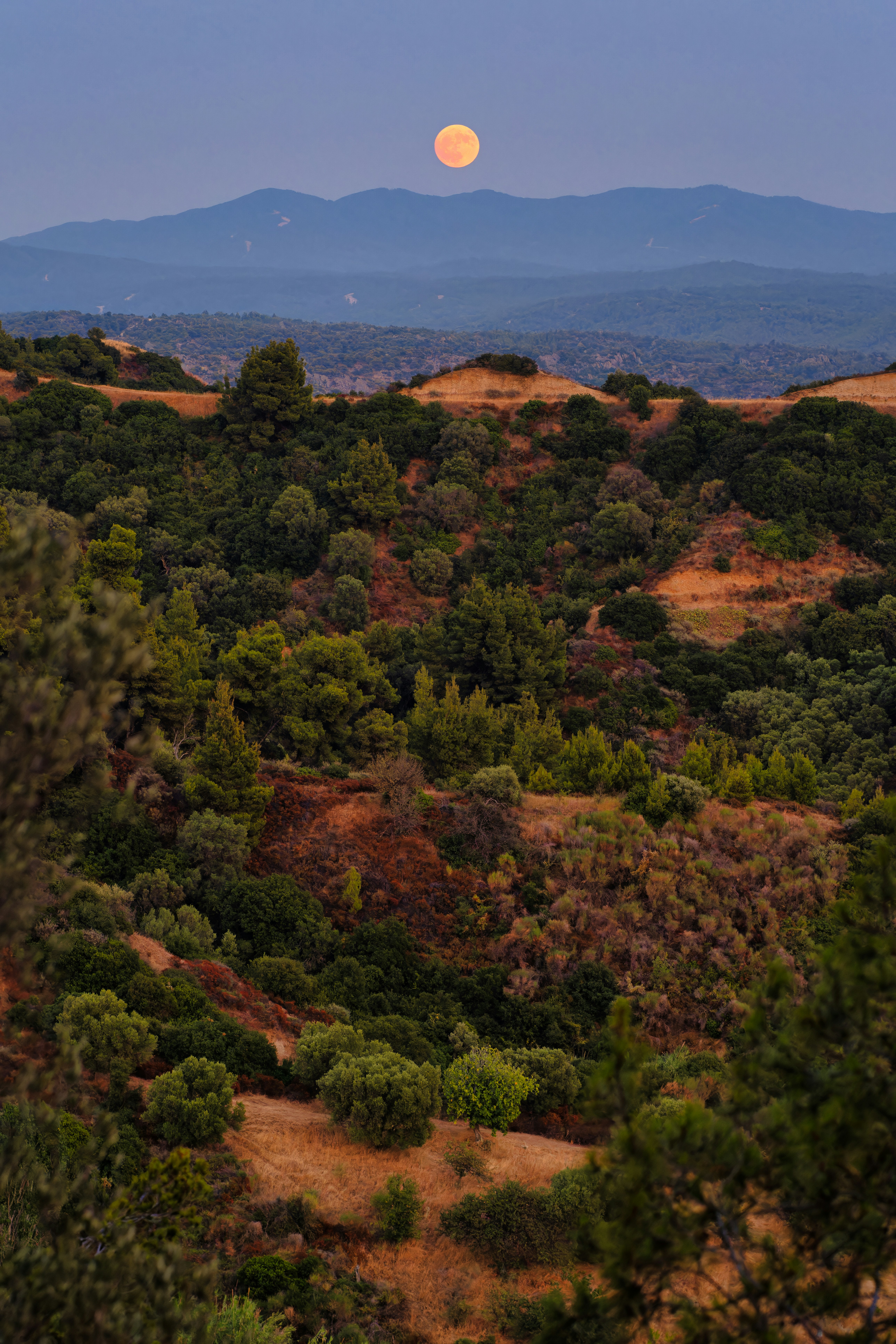 A full moon rising over a mountain range photo – Free Forest Image on ...