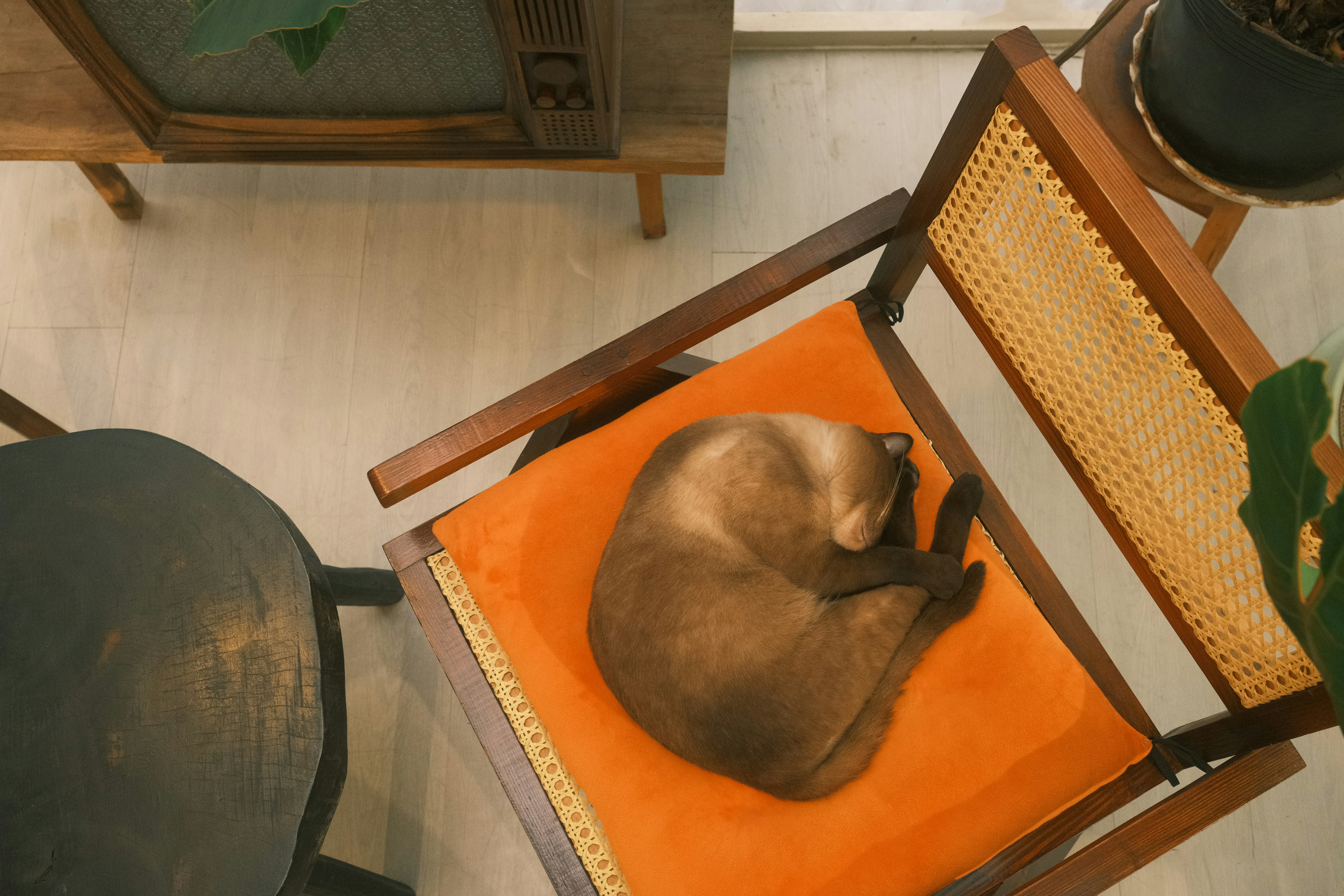 Photo by Hai Nguyen with Fujifilm X-E4