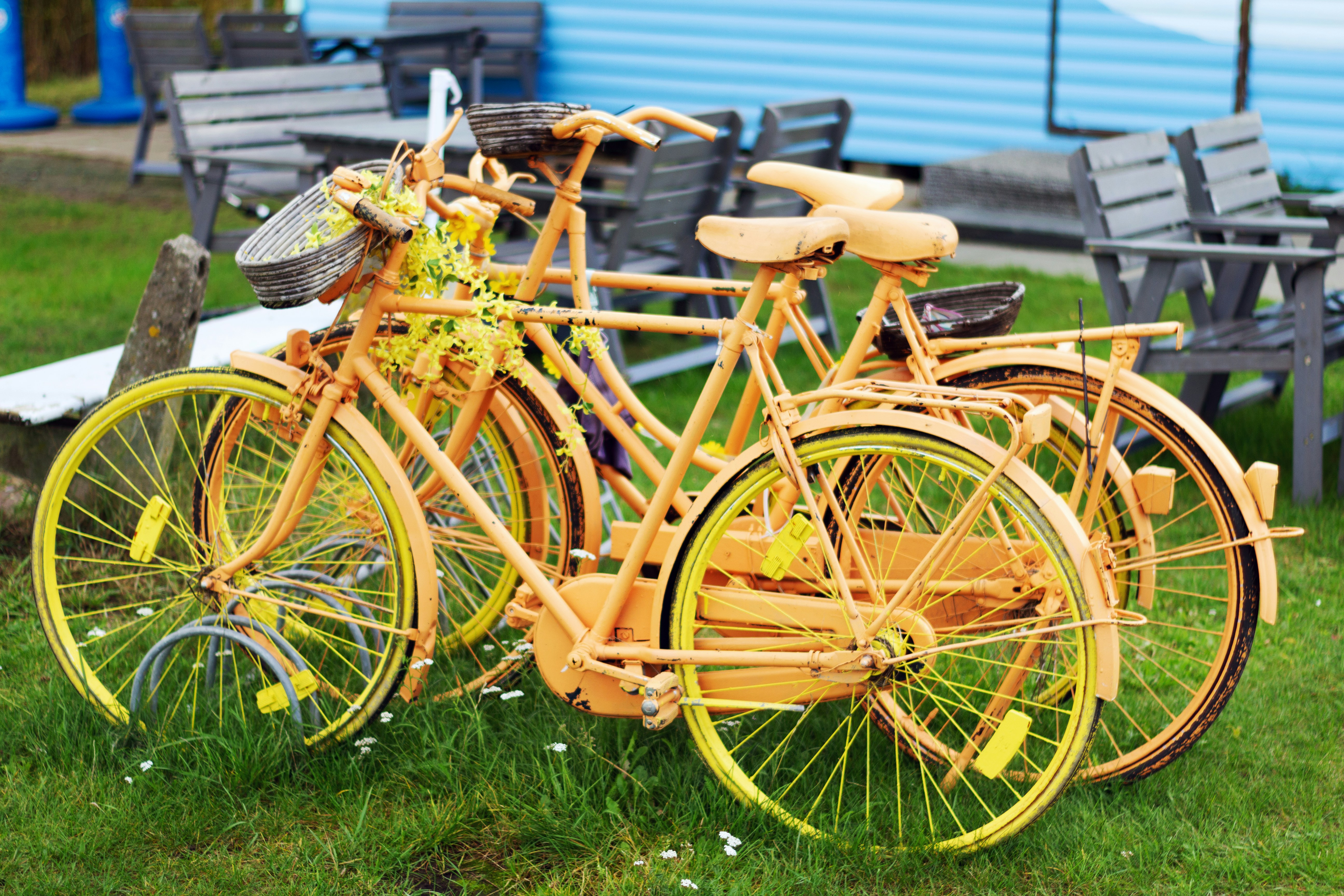Sunlit Citrus Fleet: A Row of Bright Orange Bicycles Resting on Grass