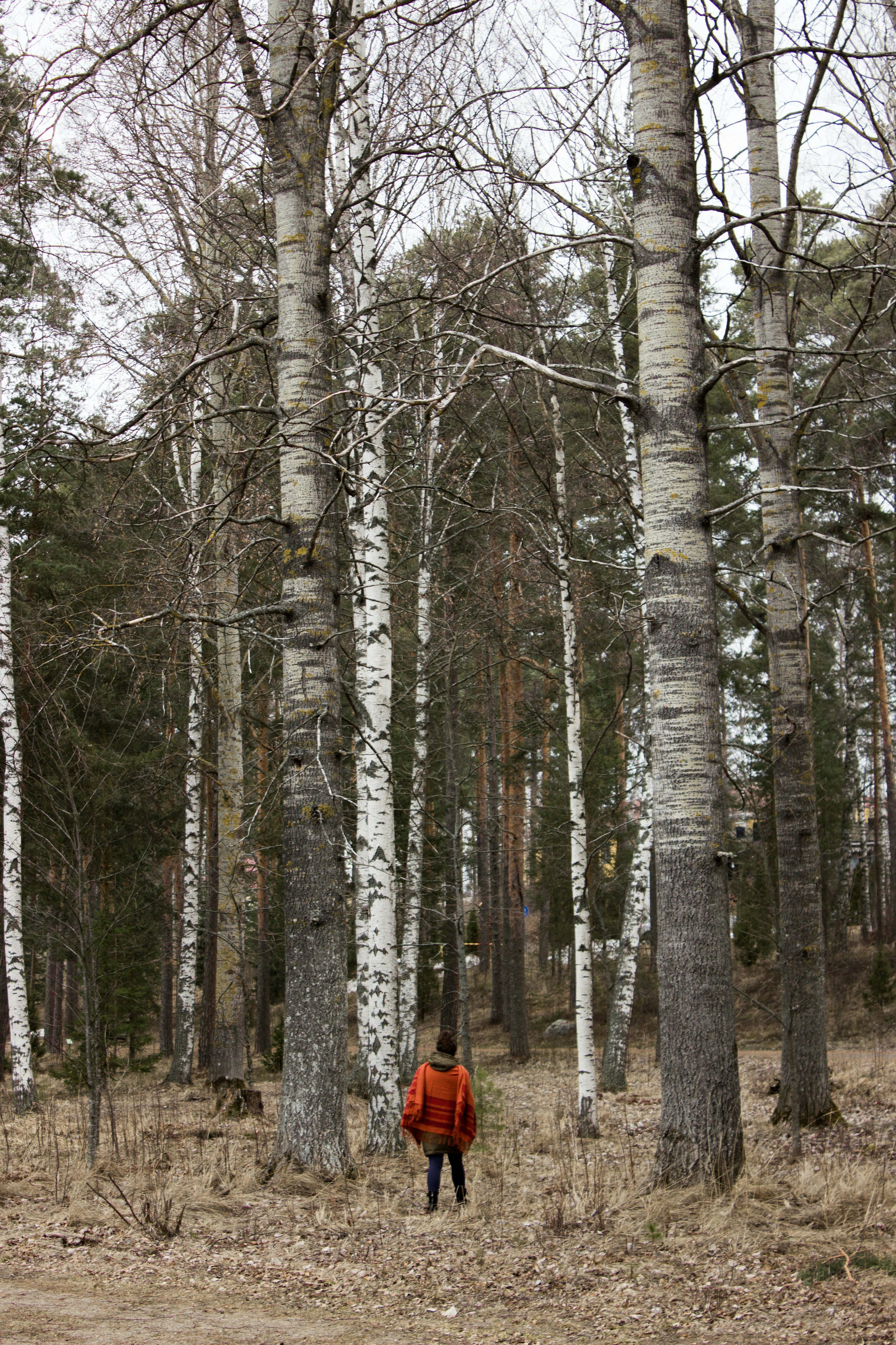 Photo by Sam Di Risio with Canon EOS 600D