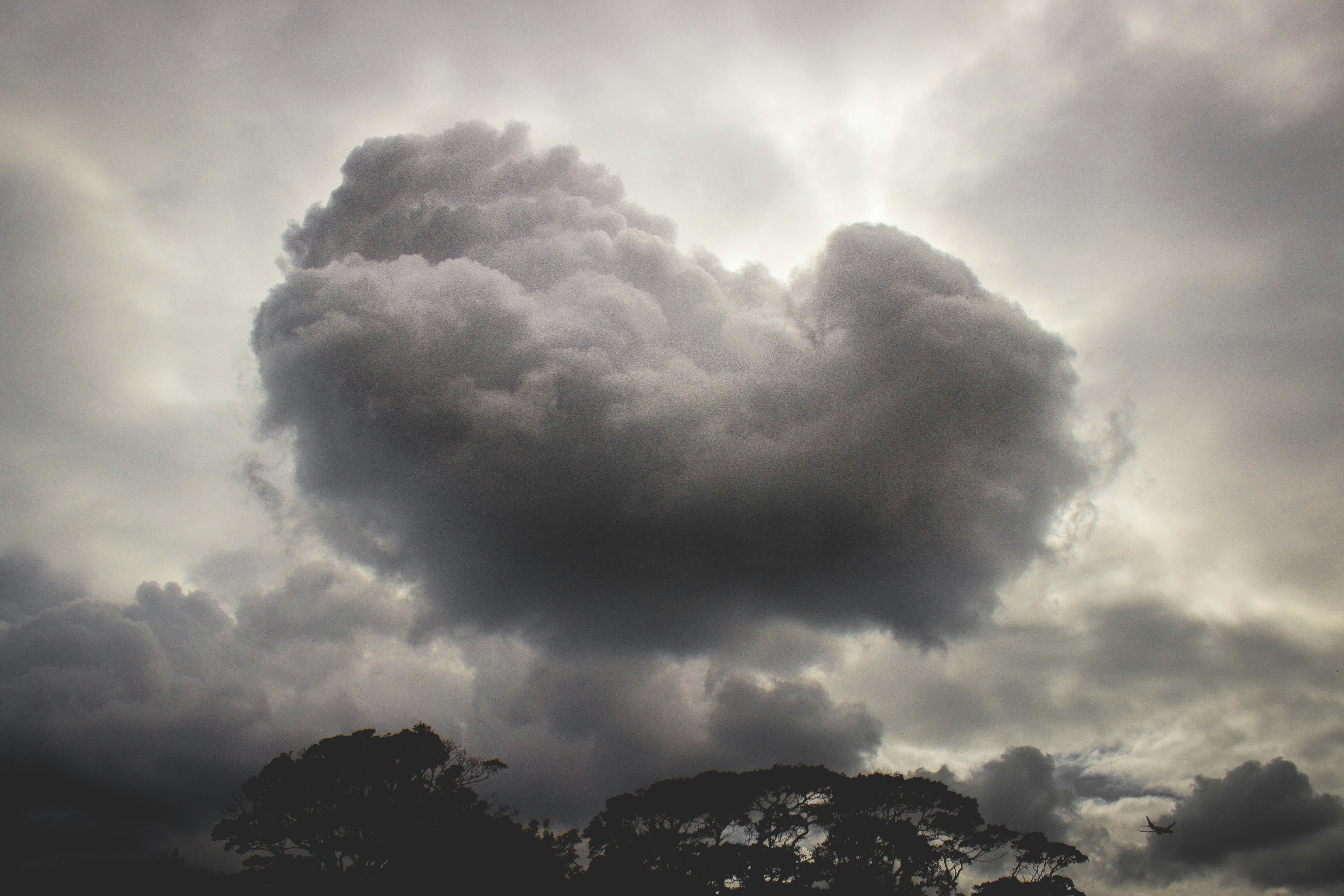 Heart-Shaped Cloud Over a Silhouetted Treeline at Twilight