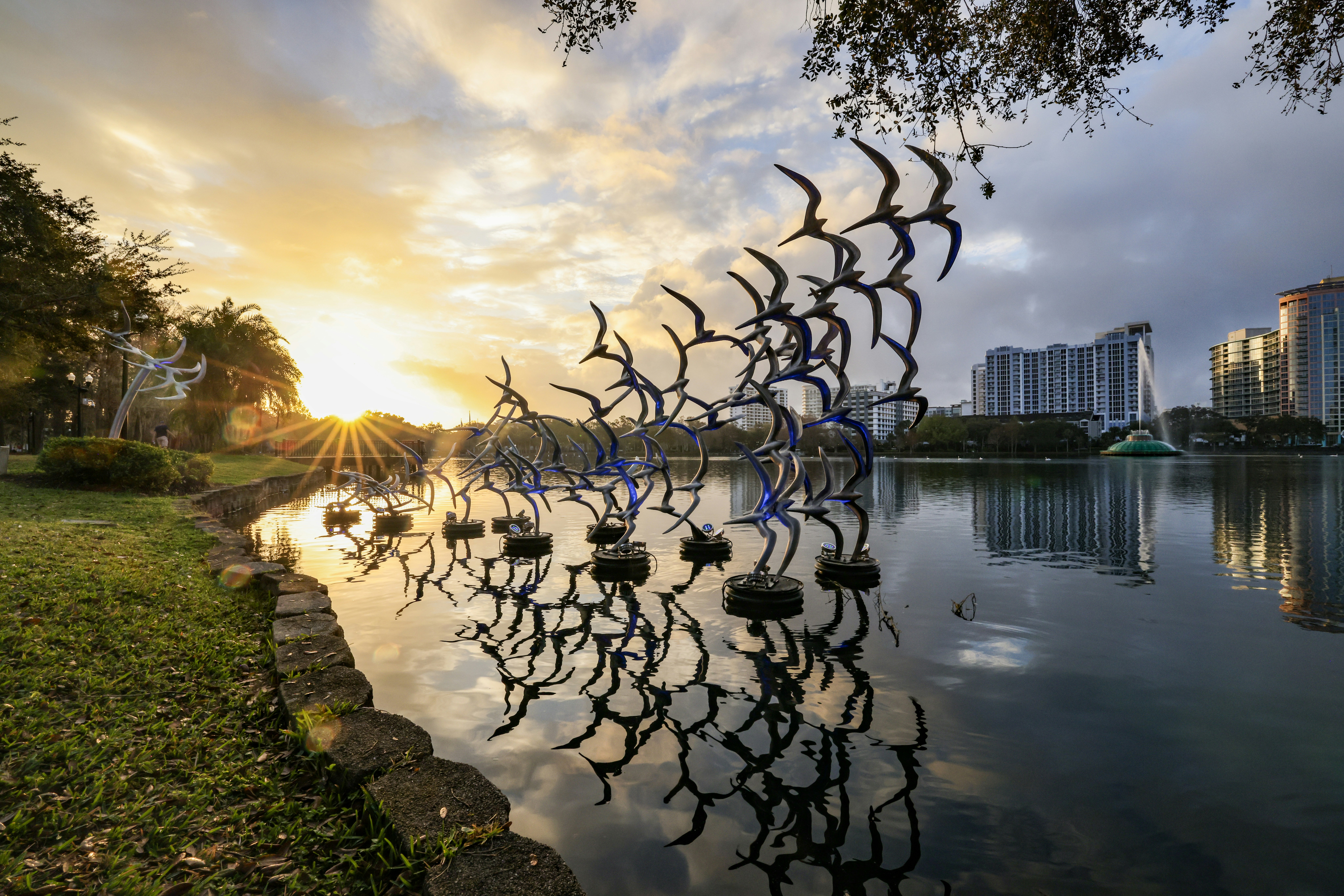Winged Chorus at Dusk: Reflections Over the Waterfront