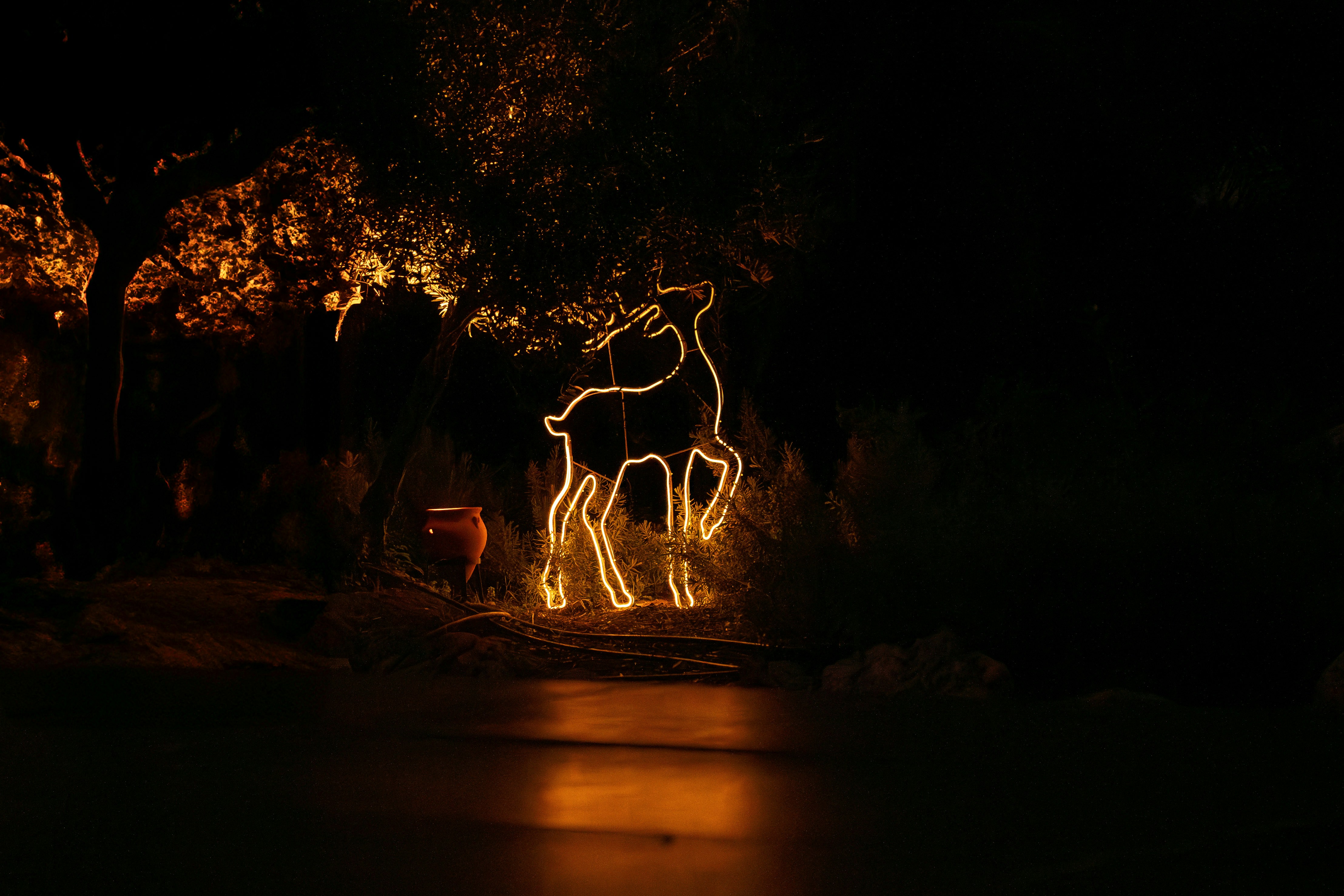 Neon Stag by the Riverside