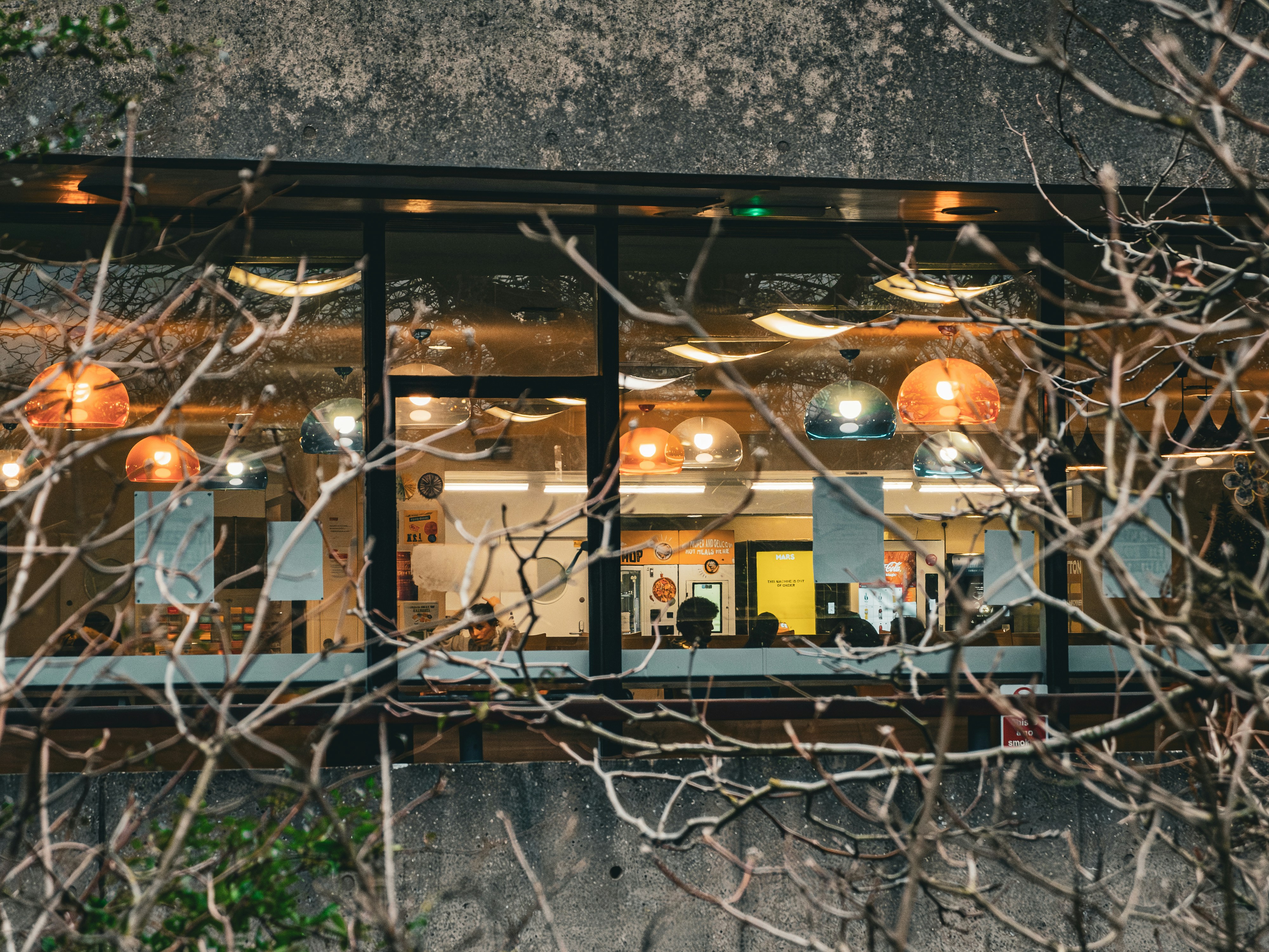 A view of a restaurant through the branches of a tree photo – Free ...