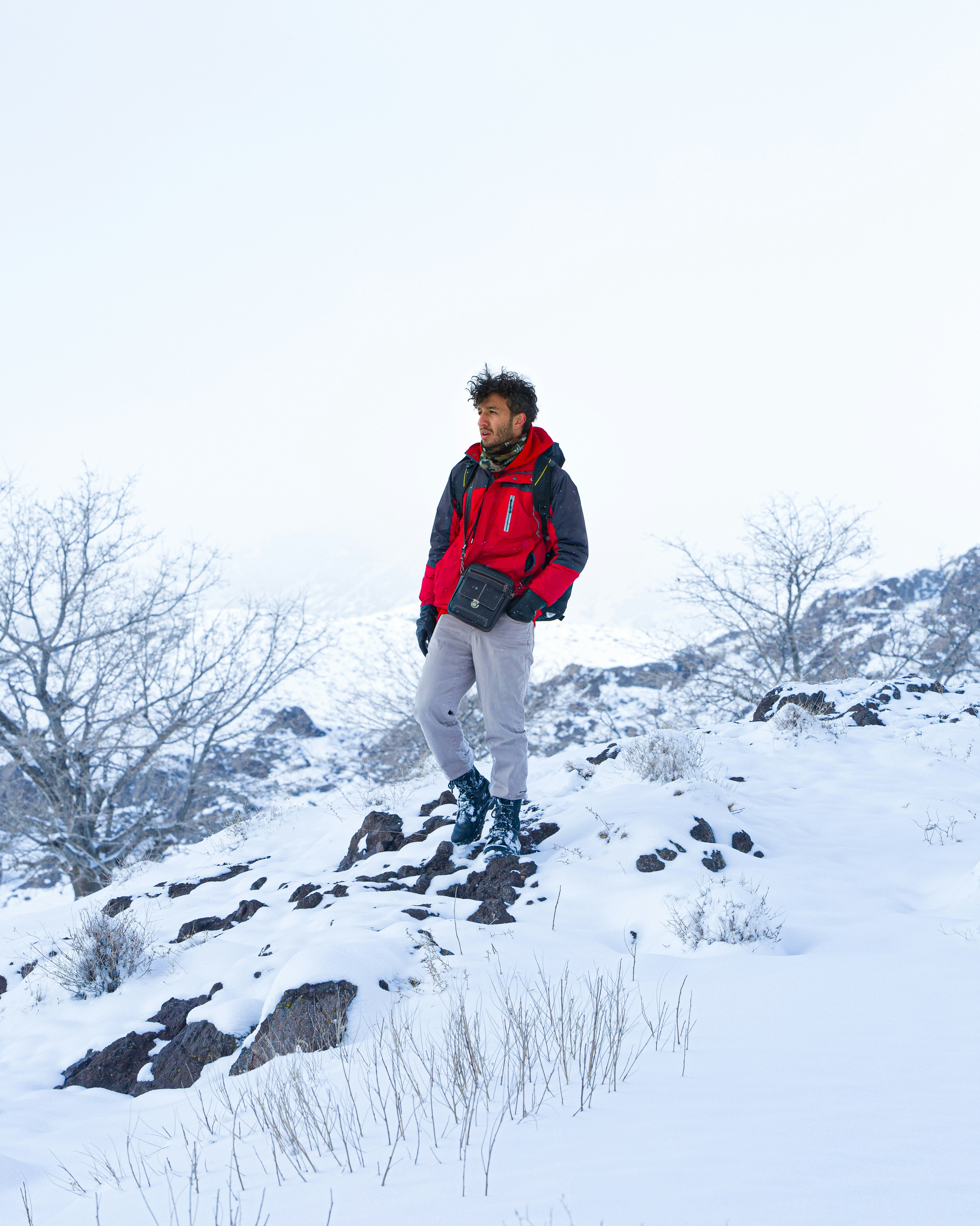Person in a red jacket standing on a snow-covered rocky hill surrounded by bare trees and a mountainous landscape.