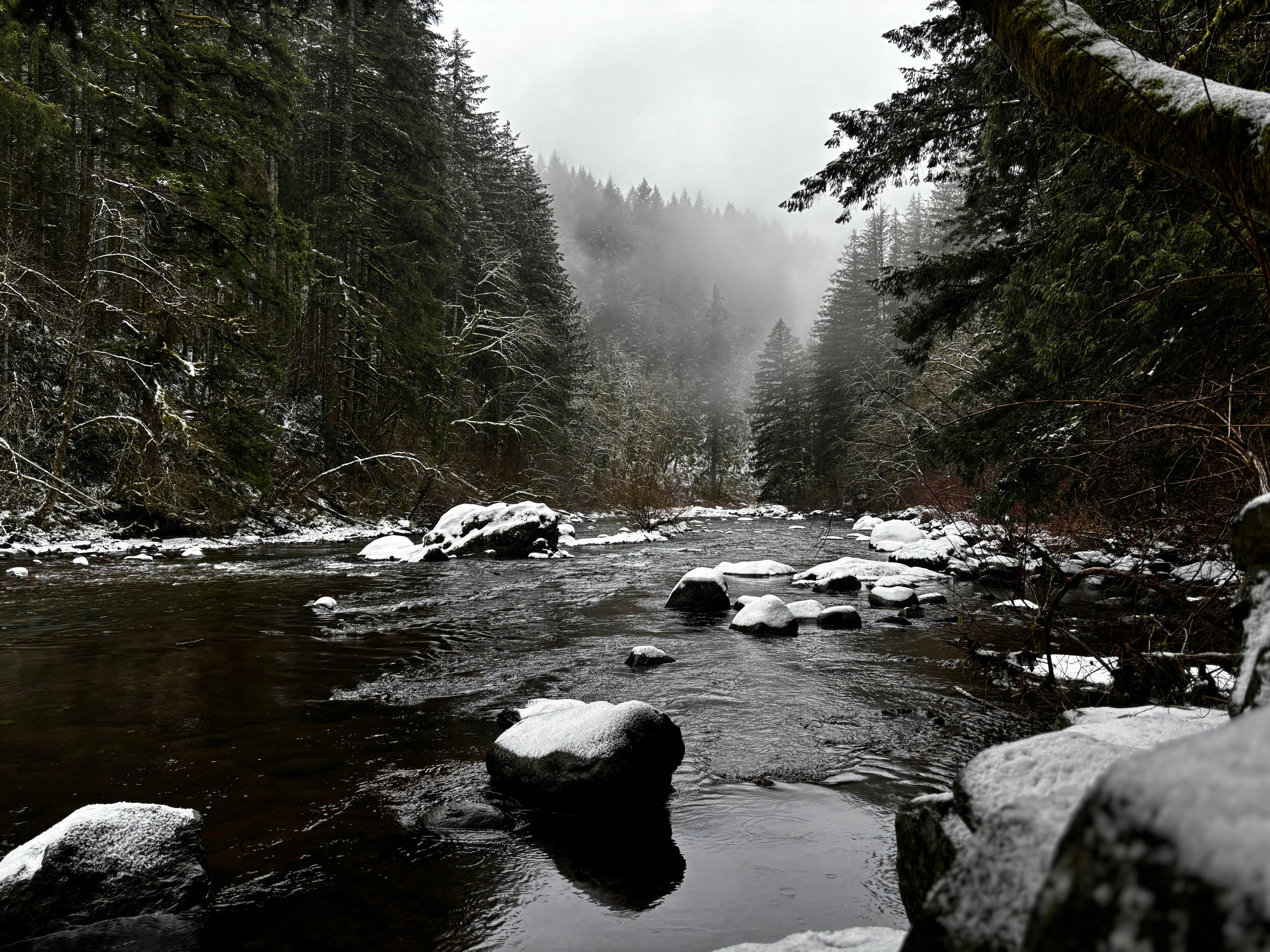 Snow-veiled river bend through silent evergreen gorge