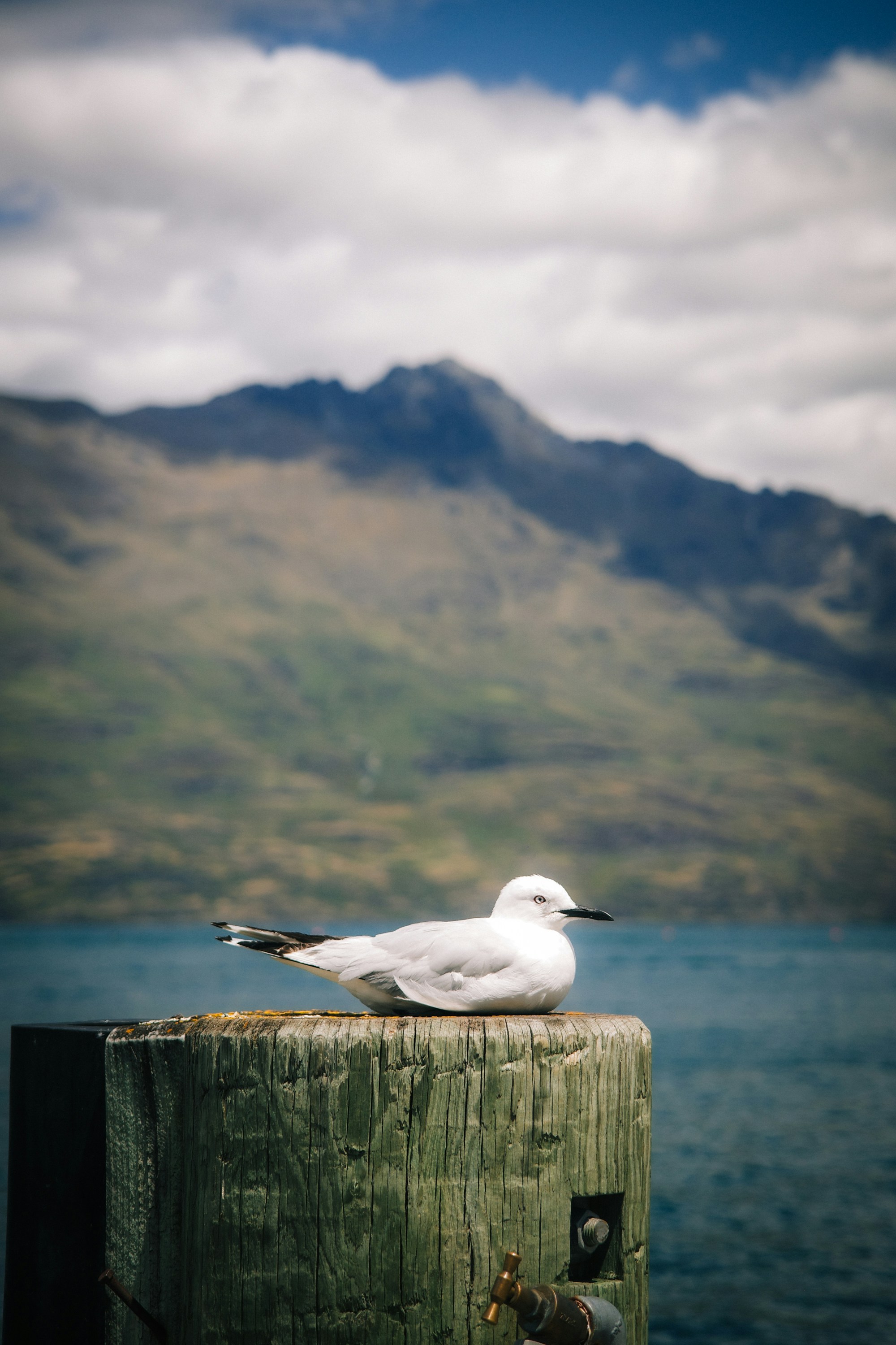 Photo by Jamie Kettle with Ricoh GR IIIx