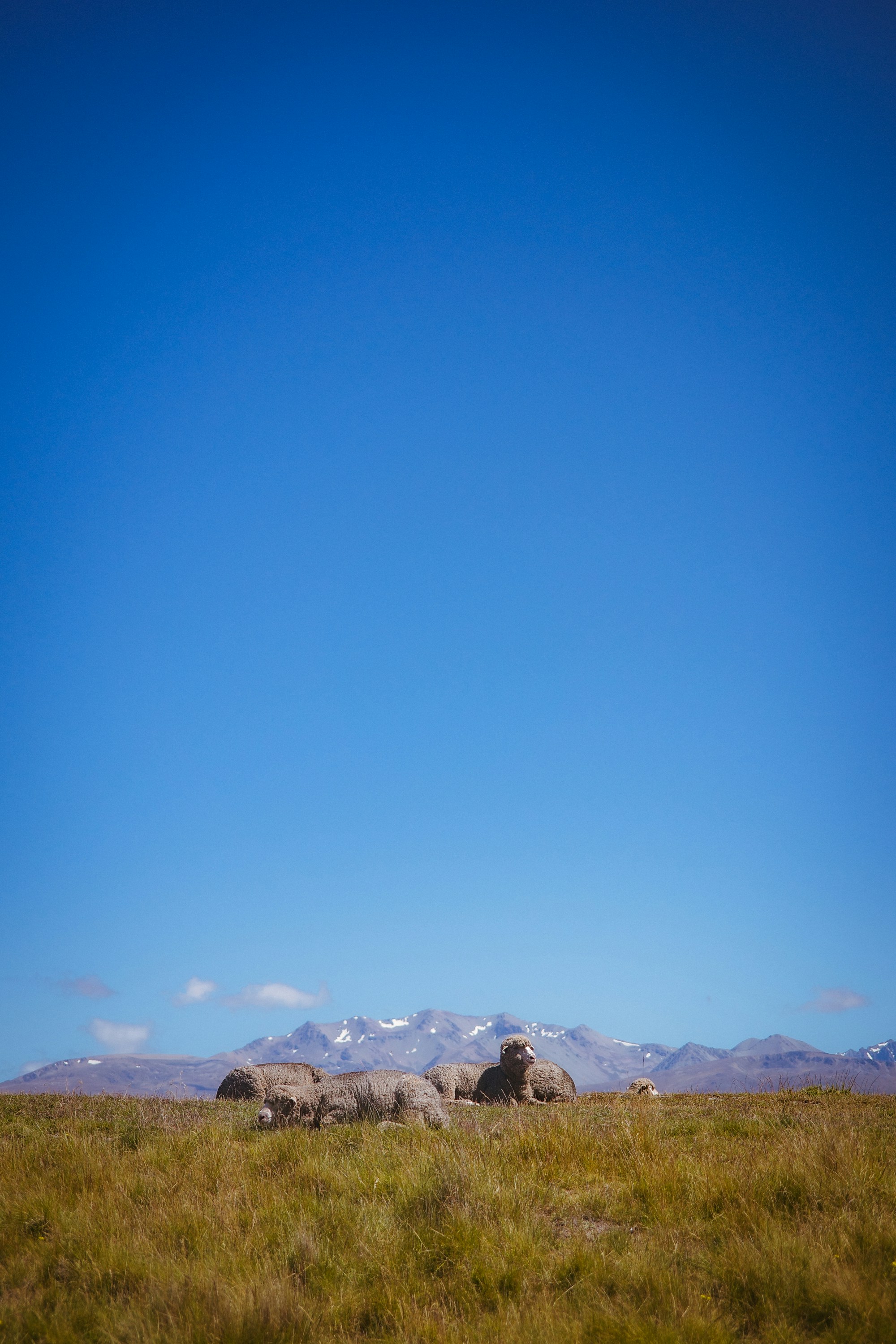 Photo by Jamie Kettle with Ricoh GR IIIx