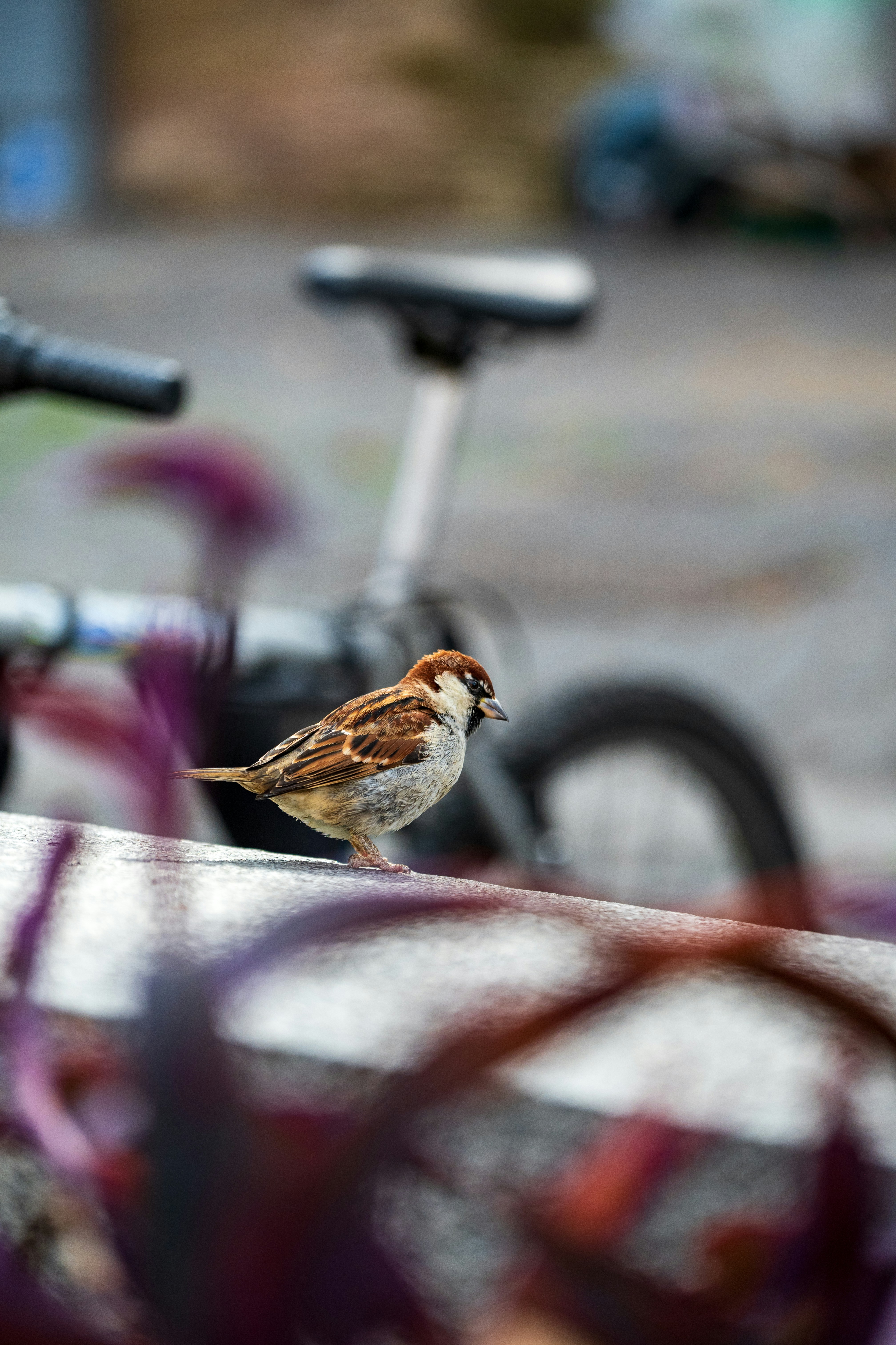 Photo by Andy Luo with Nikon Zf