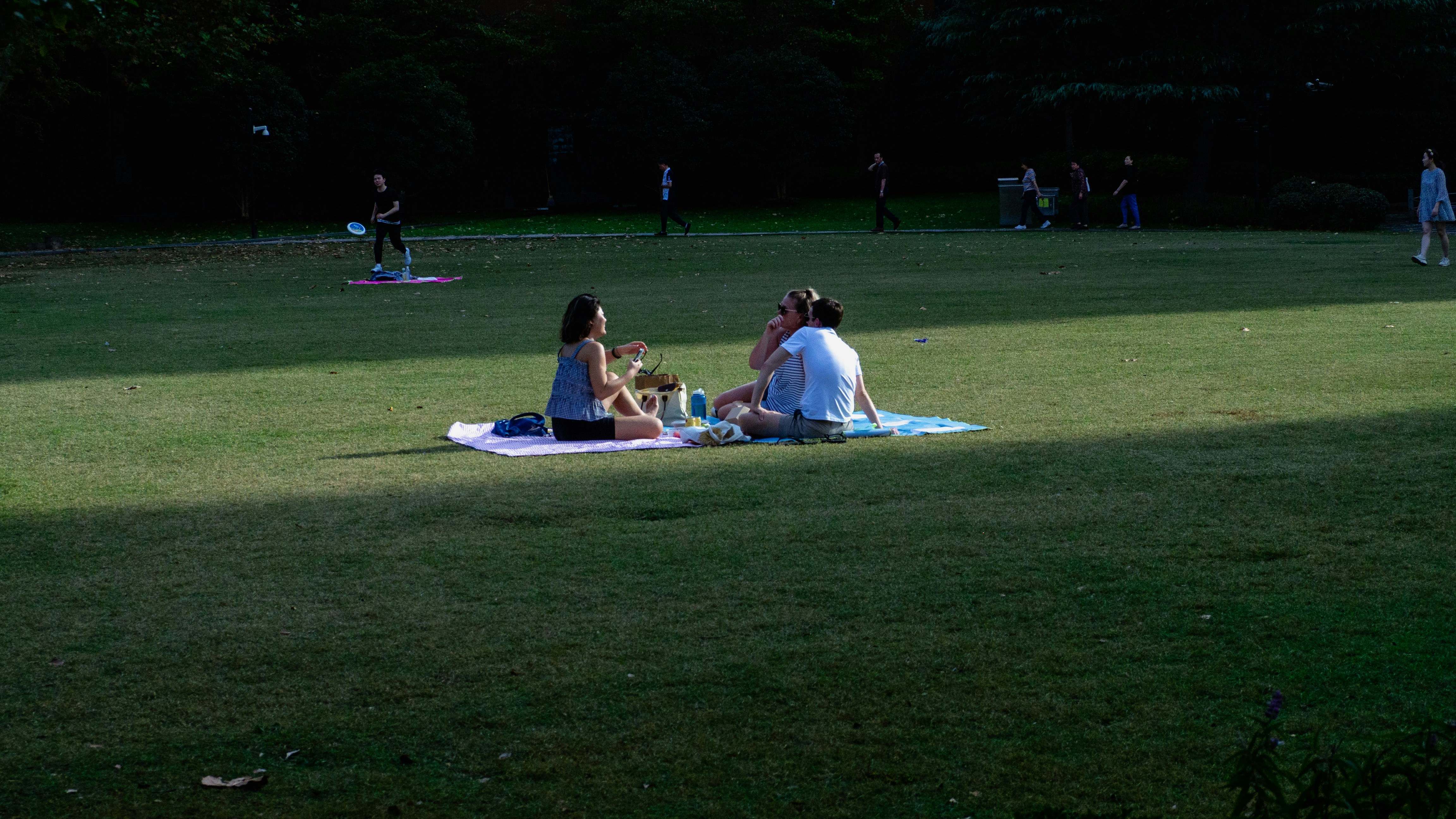 Sunlit Conversations on the Lawn
