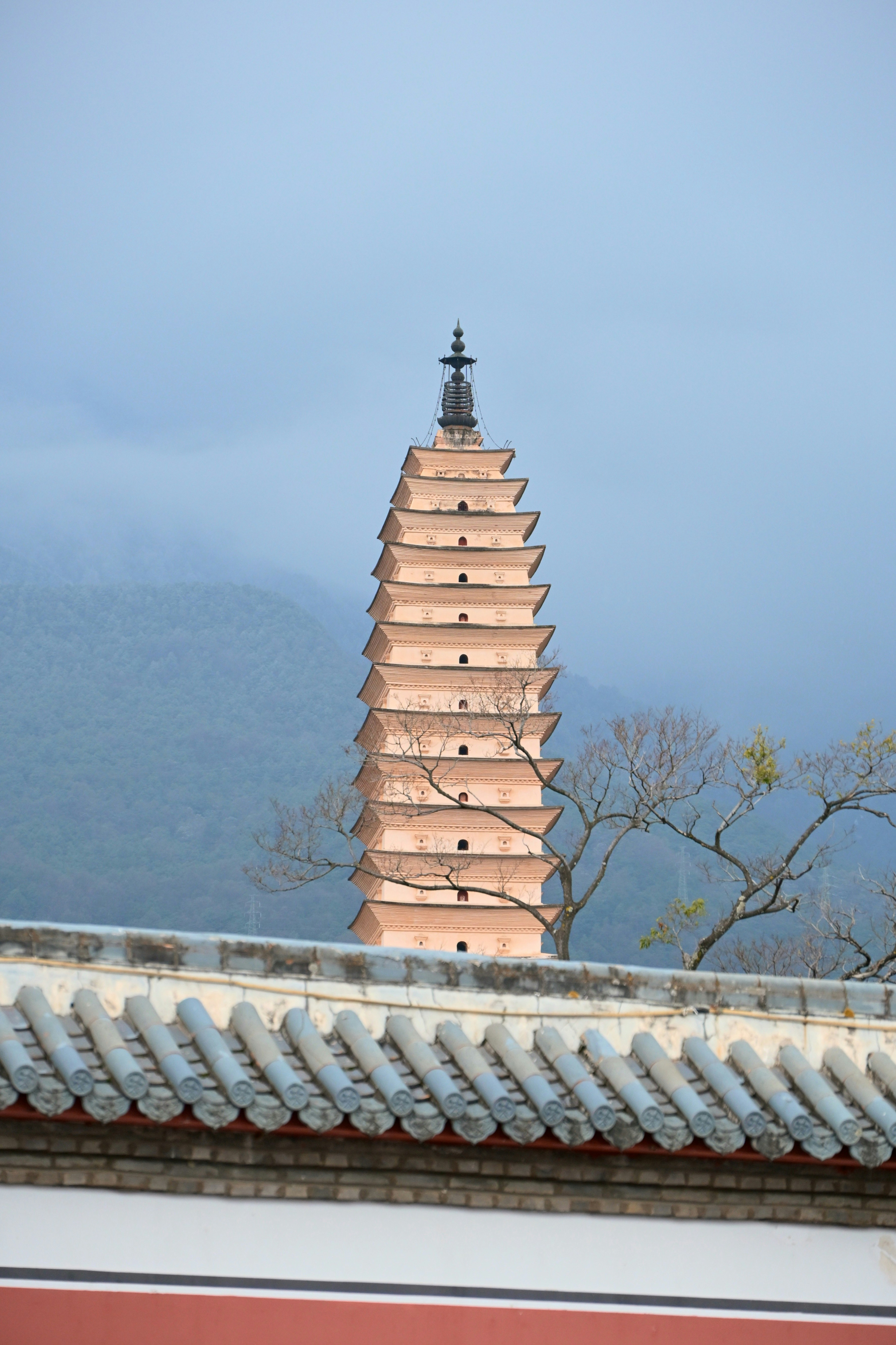 A slender nine-tier pagoda rises above a tiled foreground with leafless trees and distant hills under a pale blue sky.