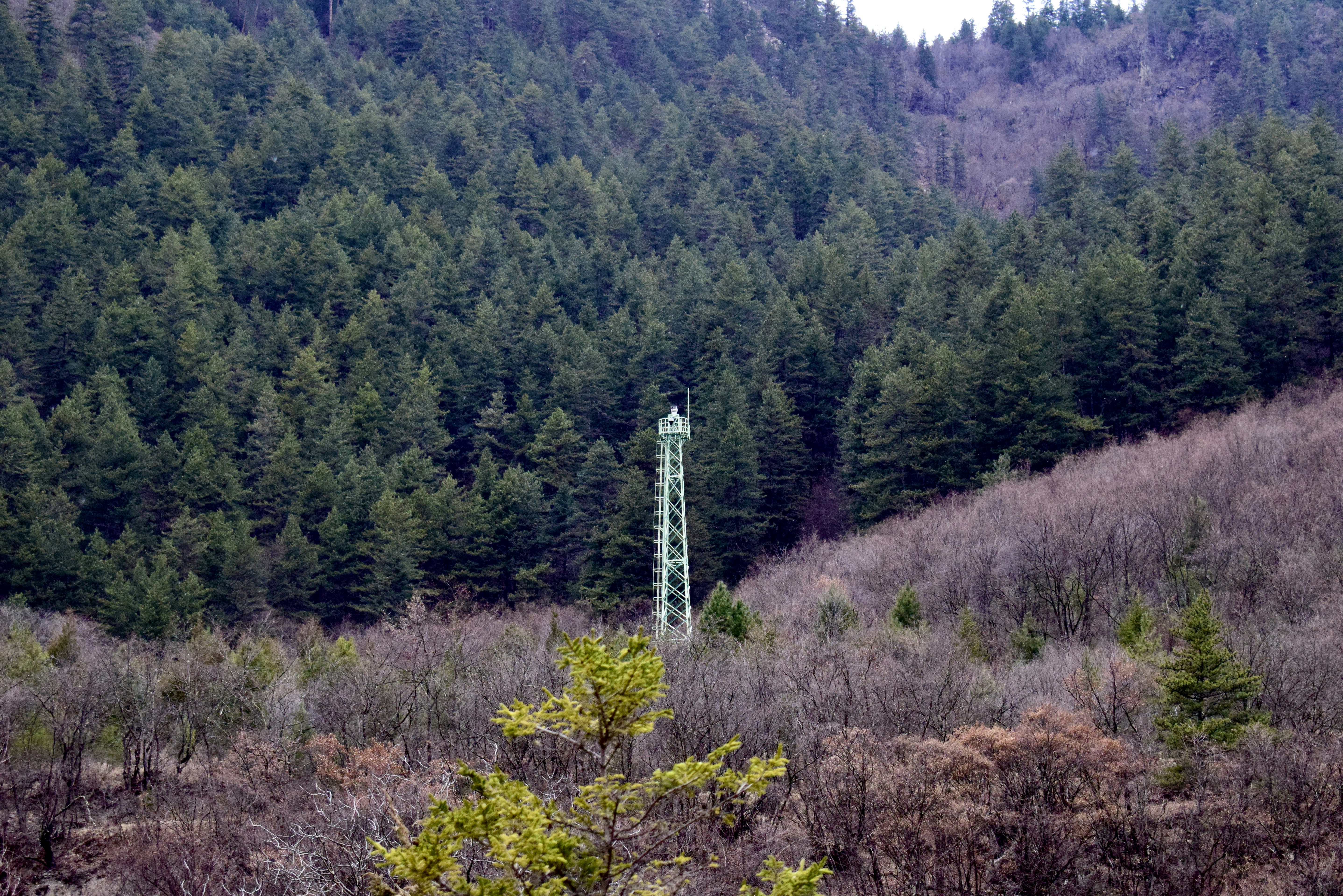 Lattice Tower on a Windswept Pine Slope