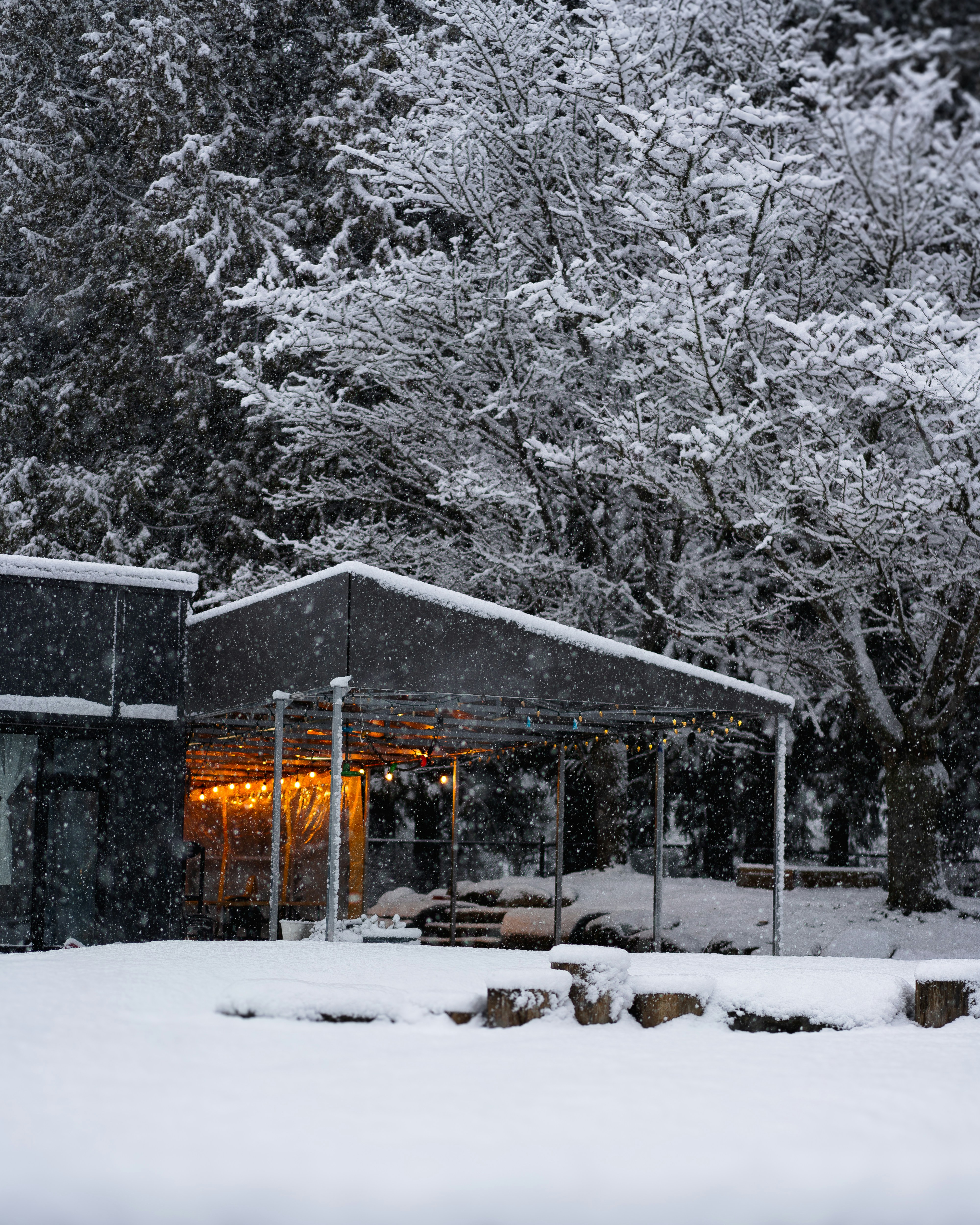 Photo by Srikanth Sistu with Sony Alpha 7 III