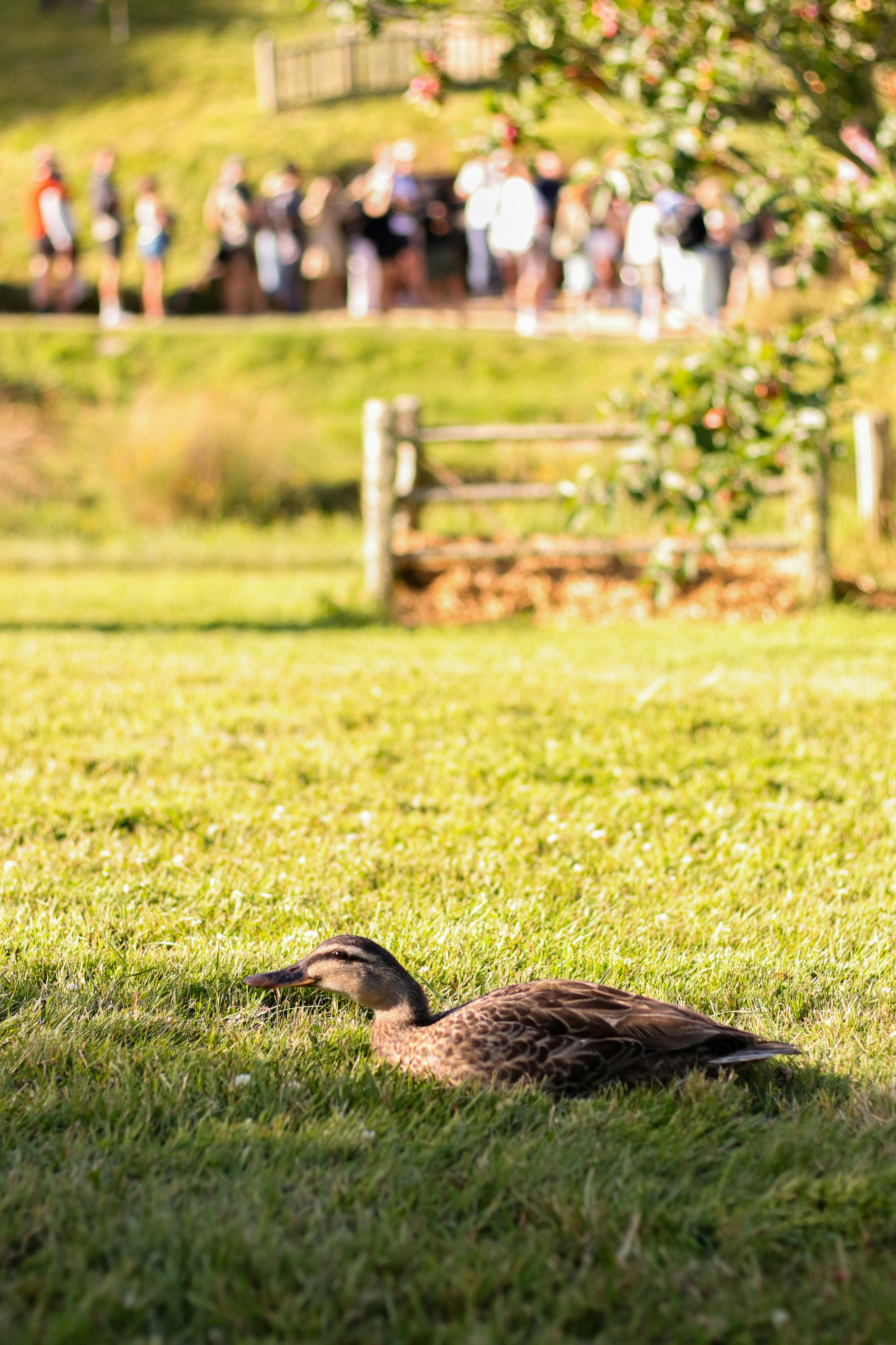 Photo by Dalal with Canon EOS 80D