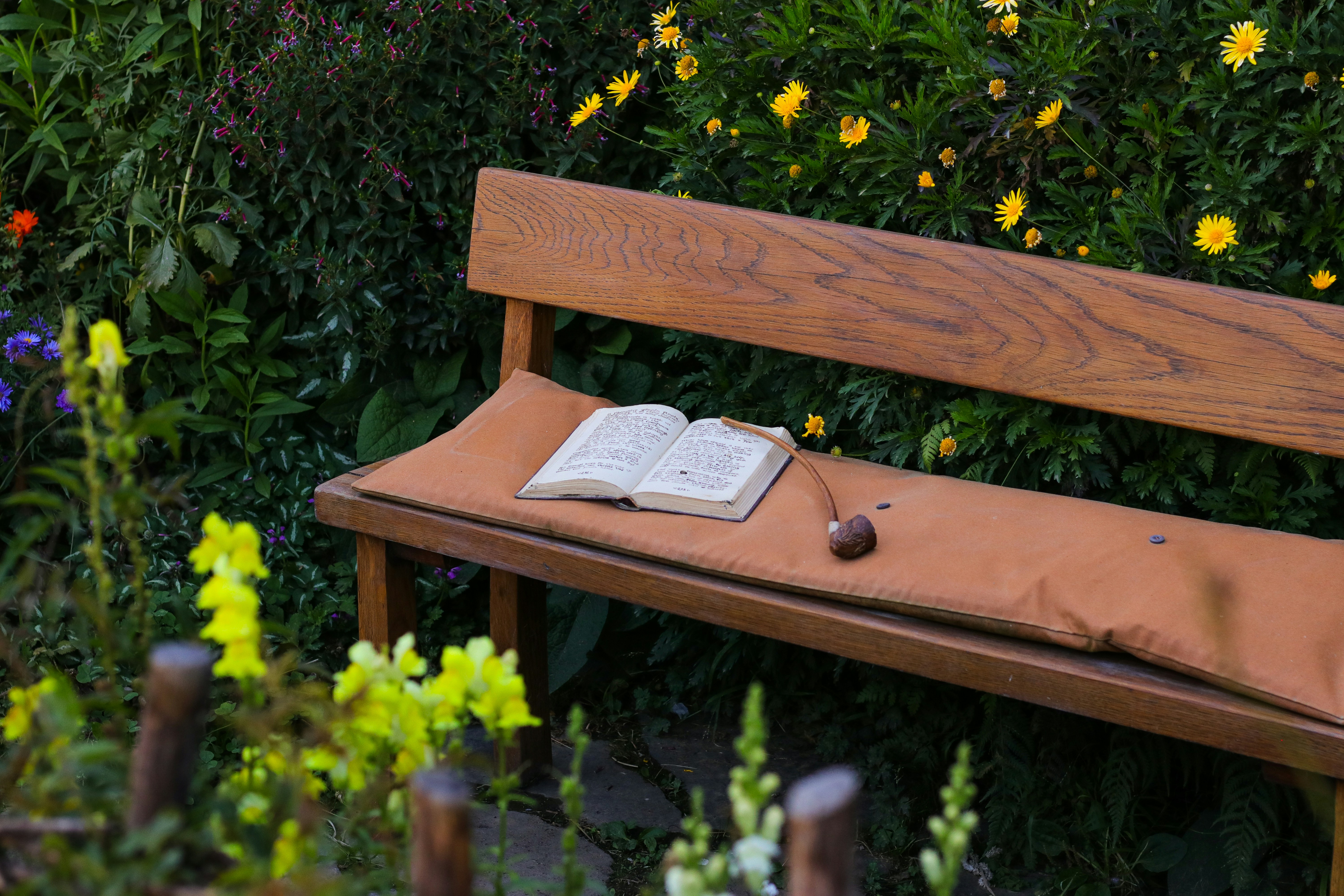 Wooden bench with an open book and pipe nestled among blooming garden flowers.