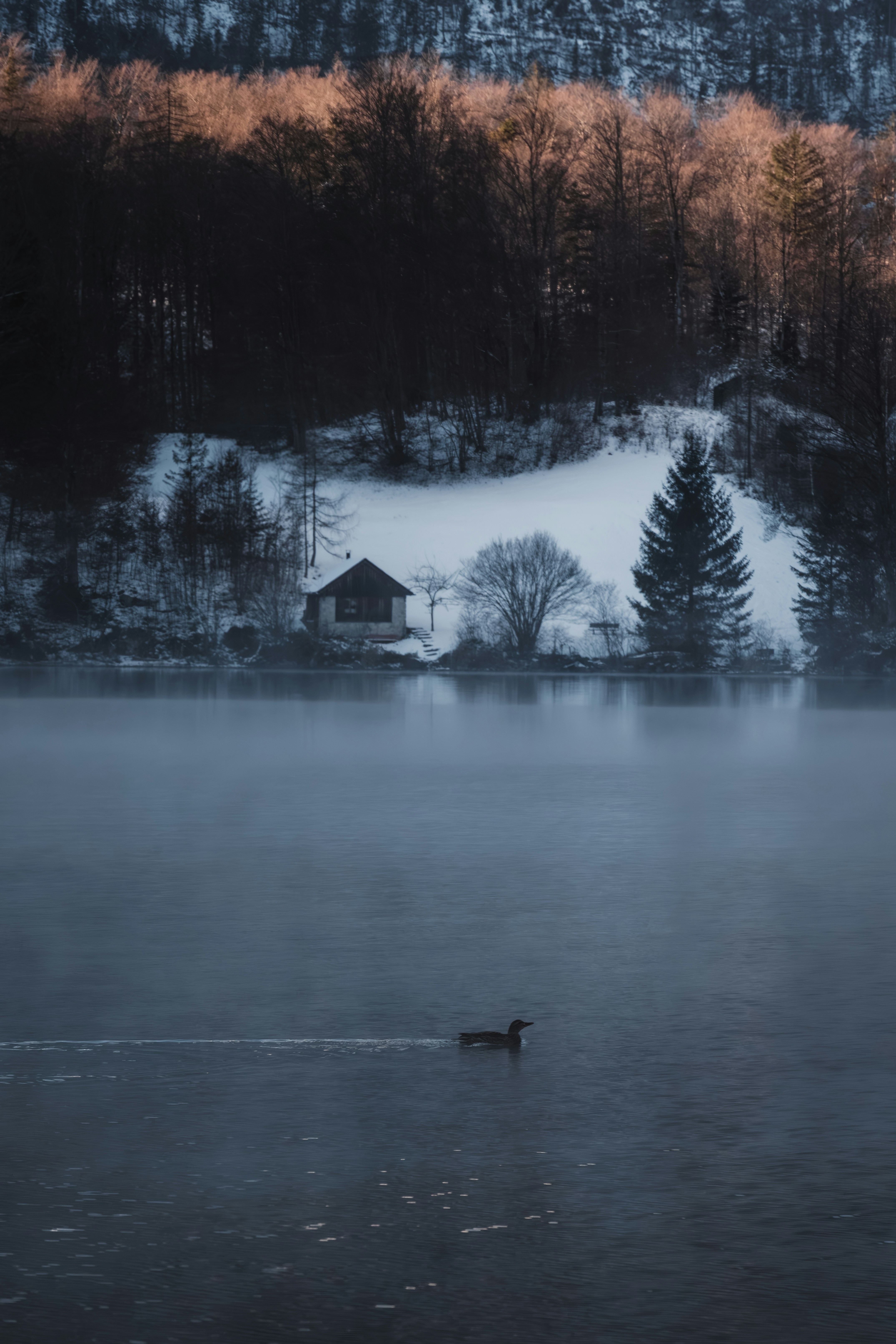 Snowbound Cabin on the Quiet Lake