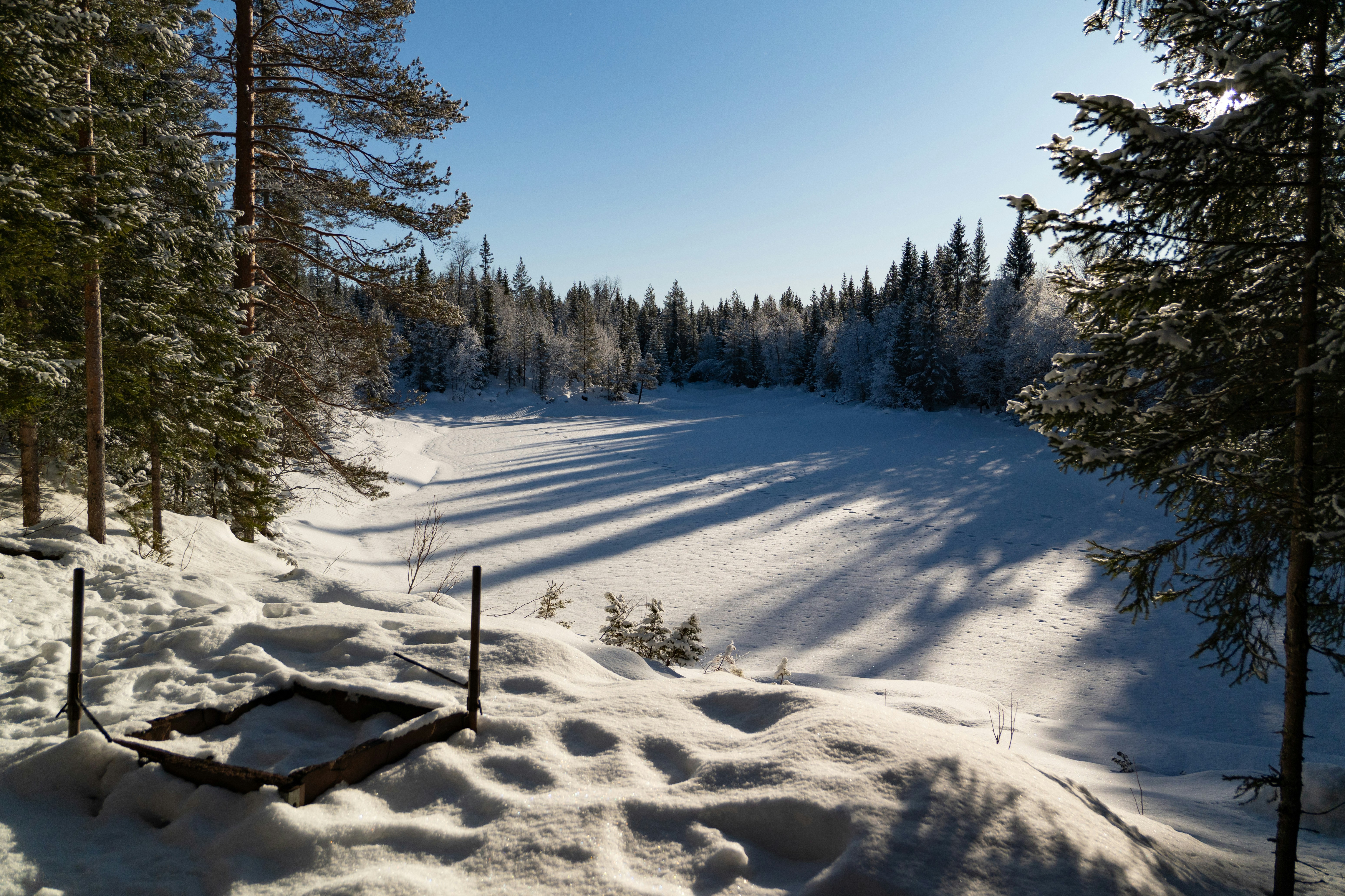 Photo by Fridi Antrack with Sony Alpha 6700