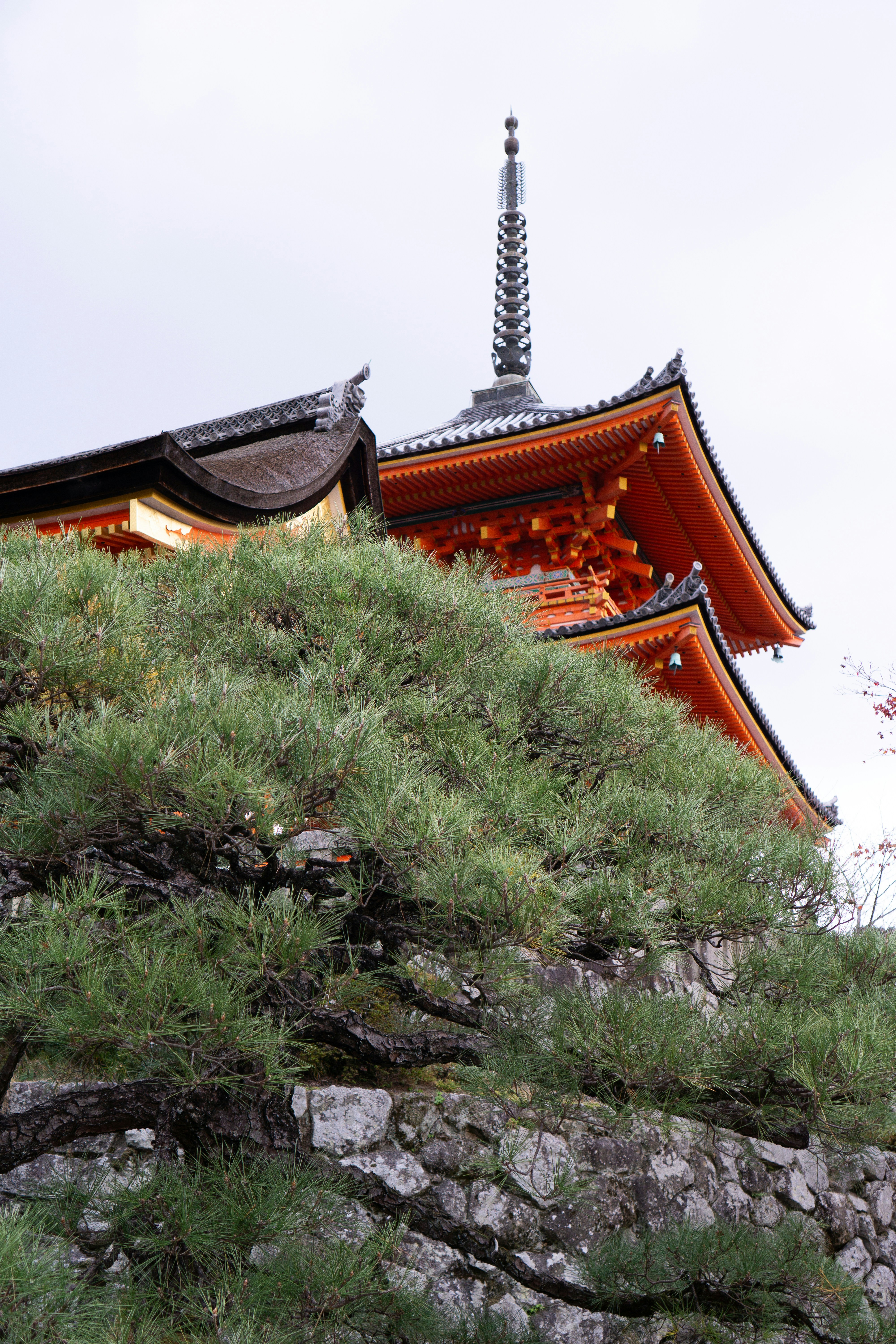 Traditional Japanese pagoda peeking through lush pine branches, set against a cloudy sky.