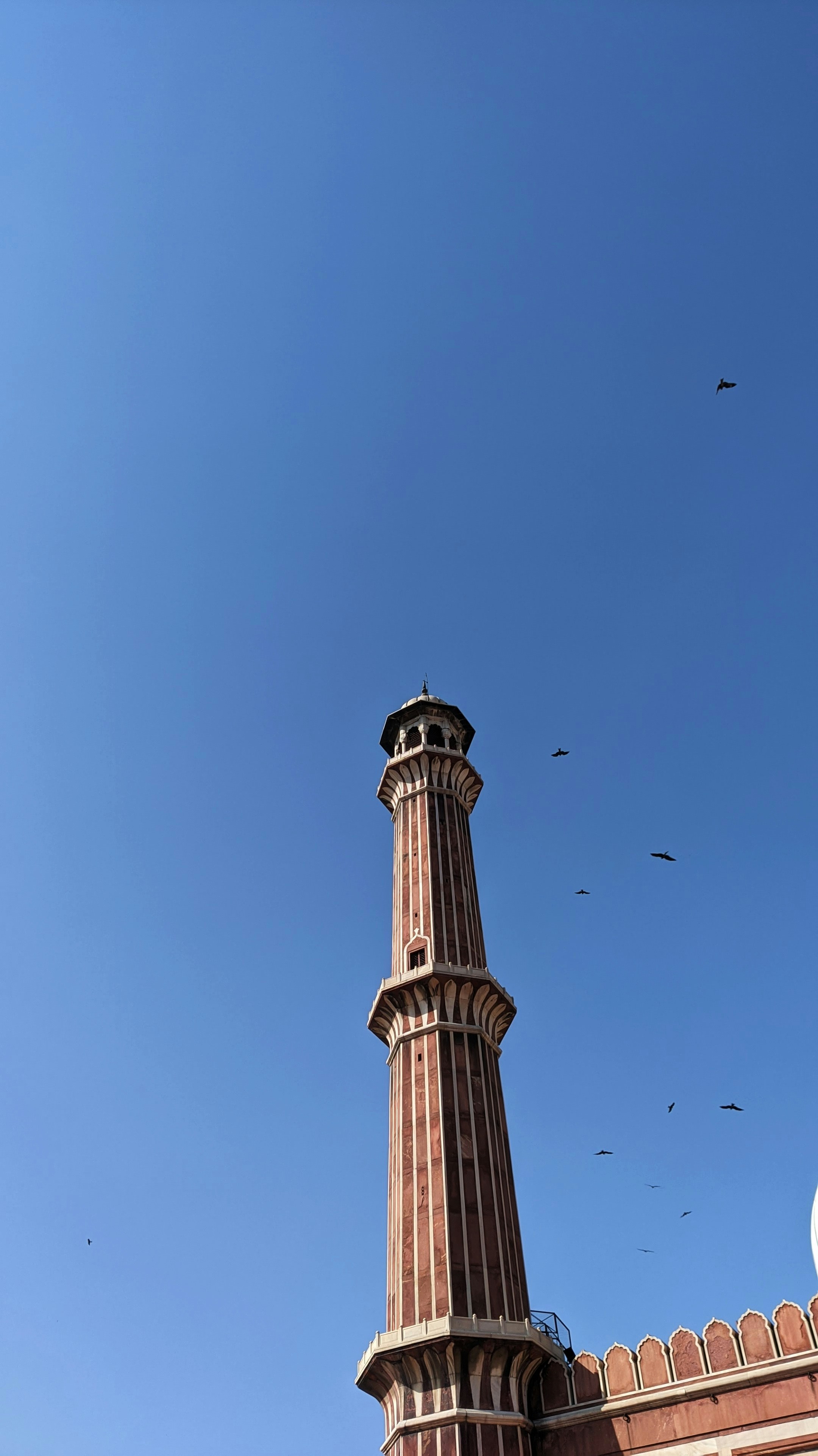 Tall brick minaret rises beside an ornate parapet against a clear blue sky. A small flock of birds flies nearby, adding motion.