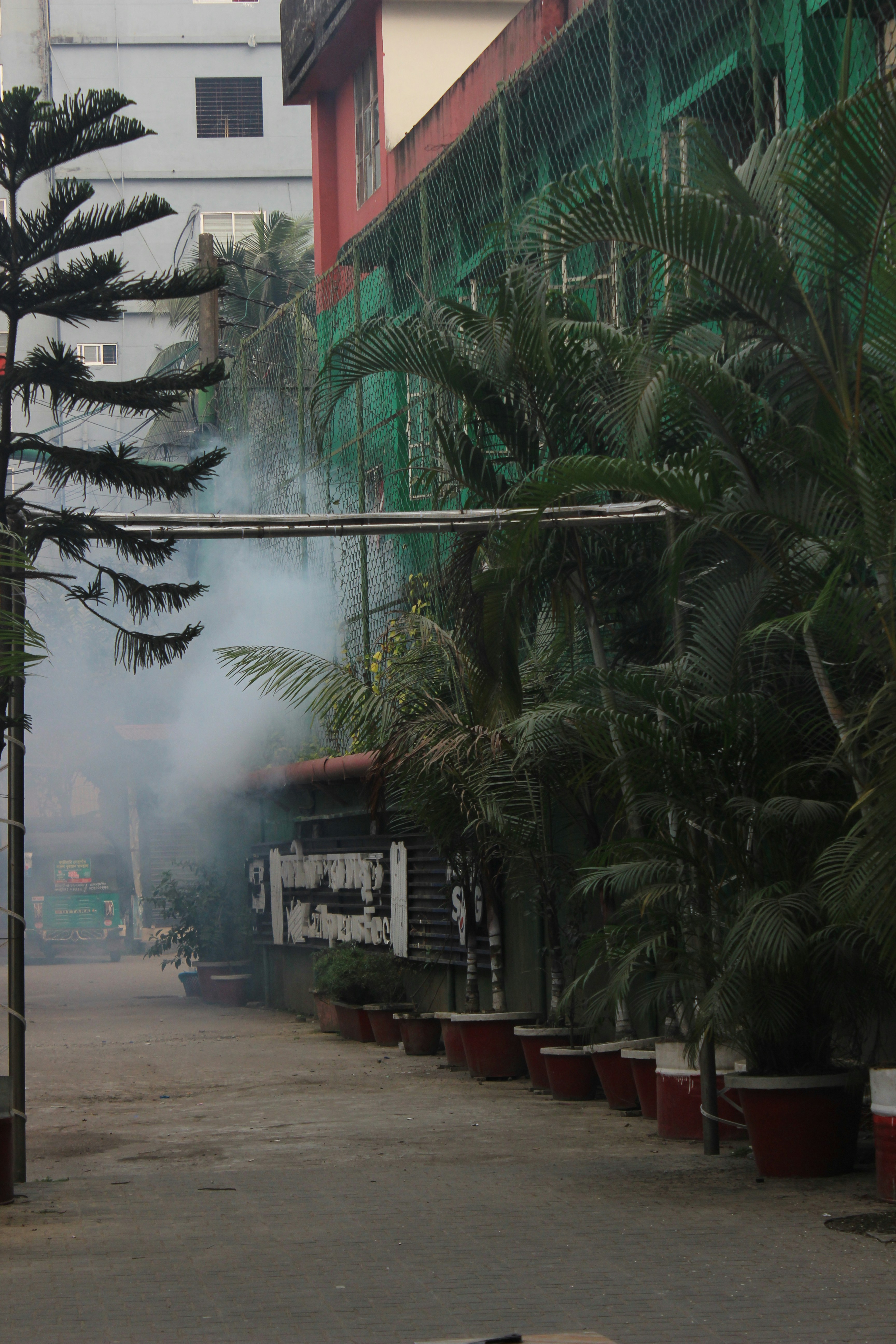 Street Scene with Potted Plants and Smoke This image captures a street scene featuring a row of red pots with green plants lining the left side of the image. In the background, there is a significant amount of smoke or fog, which partially obscures the view. The scene includes several buildings, with one covered in green netting or mesh. A palm tree is visible in the foreground. The blend of natural elements (plants and trees) and urban elements (buildings and smoke) creates an interesting contrast, adding a layer of mystery and atmosphere to the scene. The photo is taken by Tresify Lab.