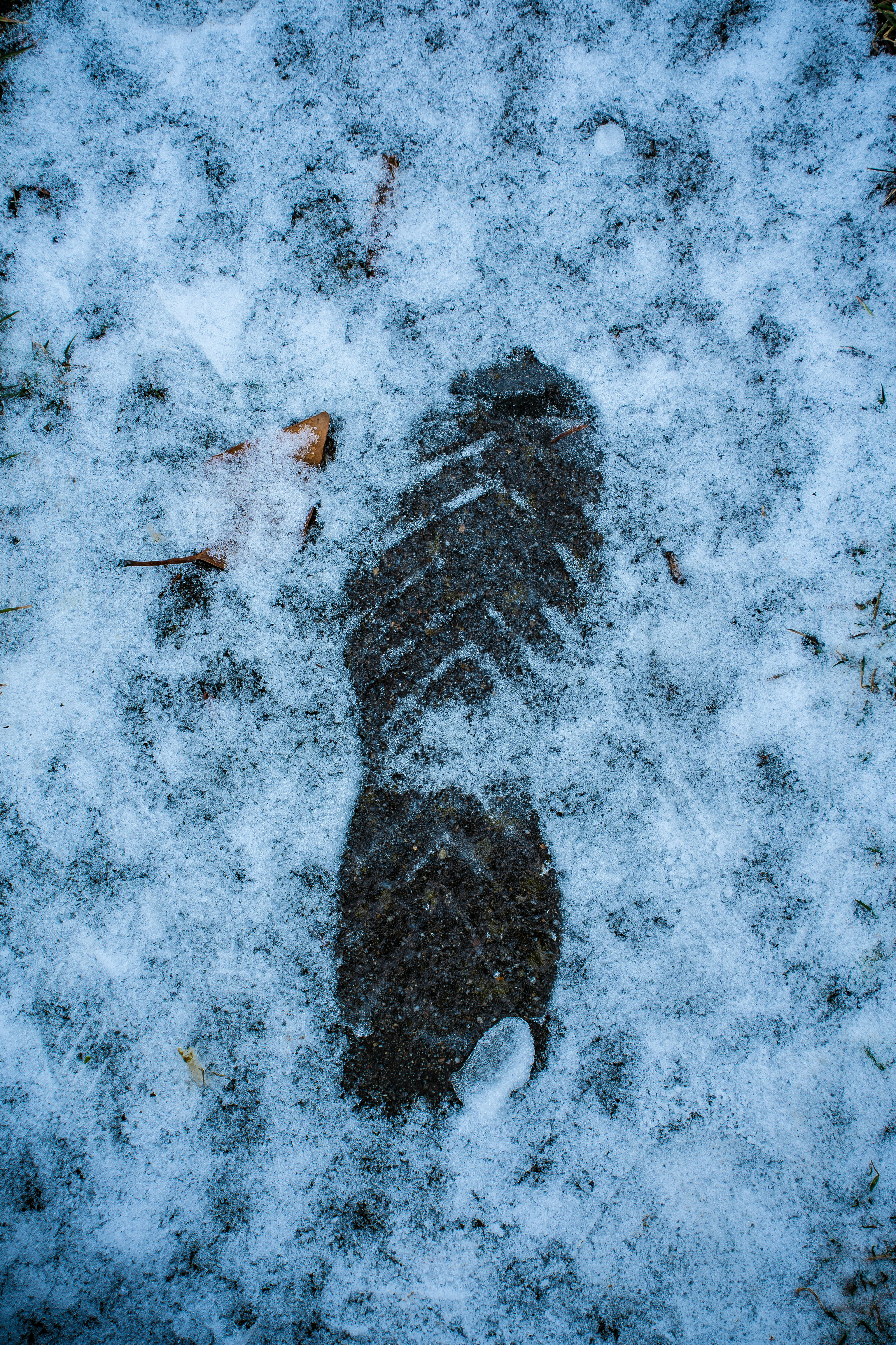 Footprint in Frost: A Quiet Winter Trace