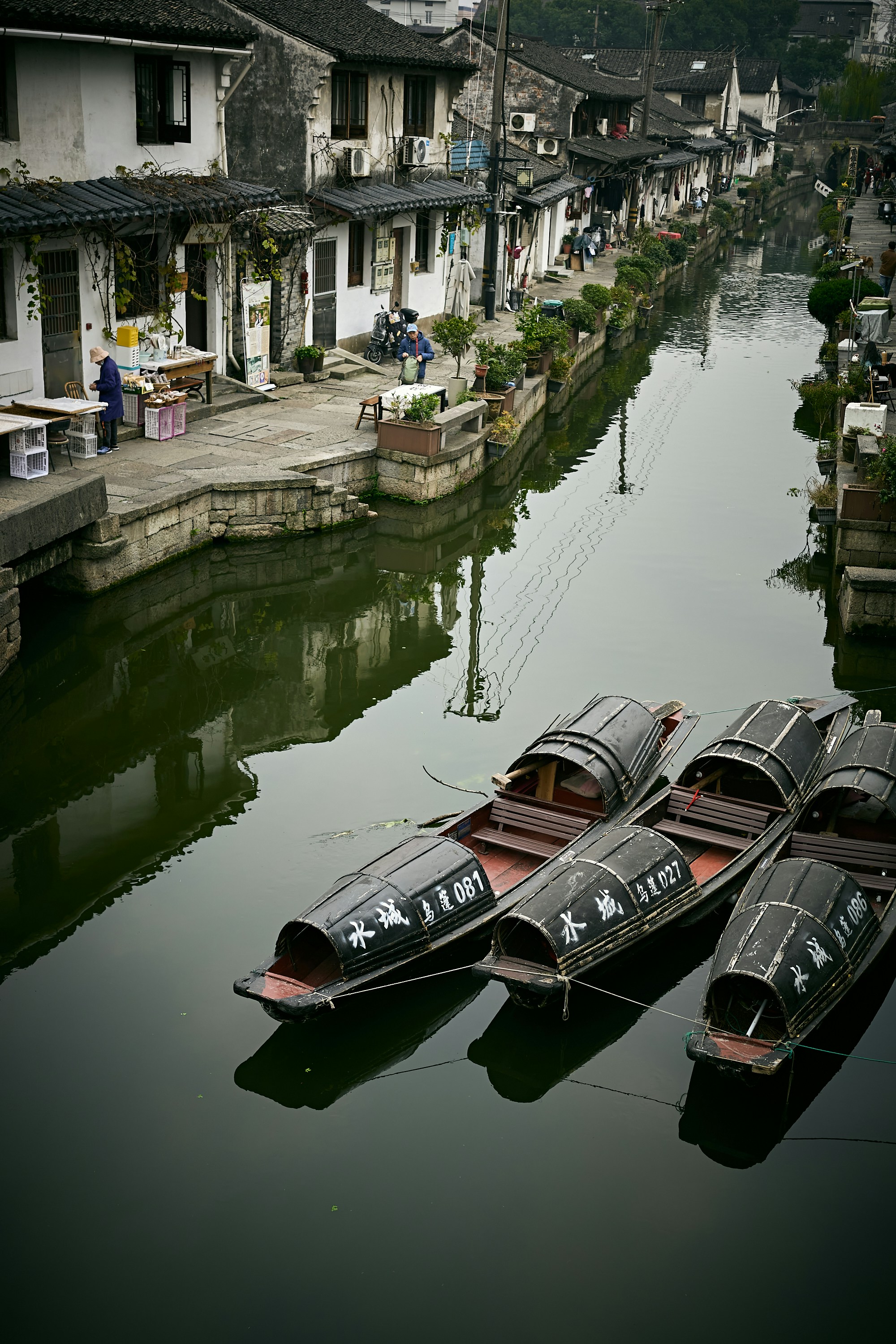 Photo by Seele An with Ricoh GR IIIx