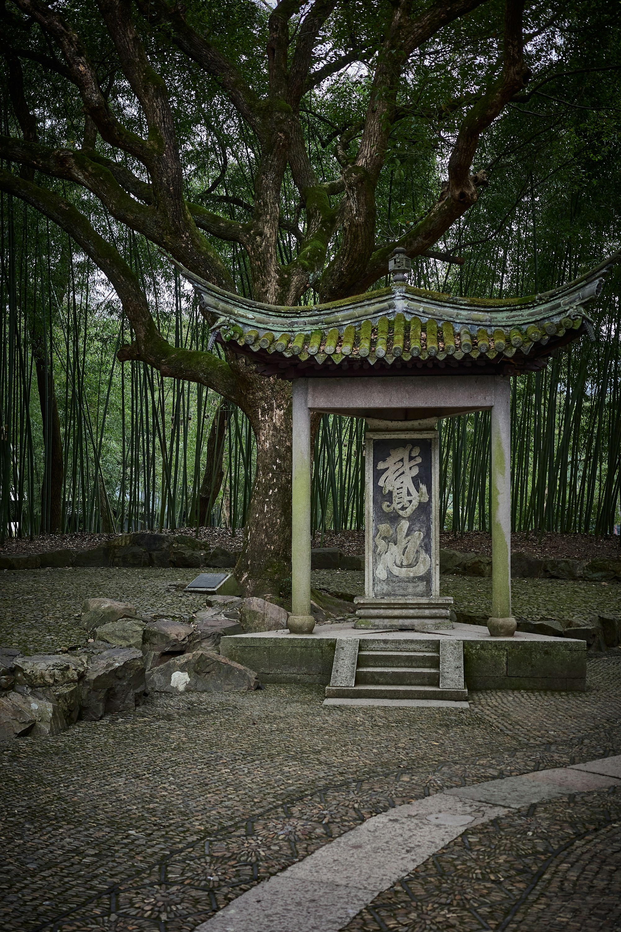 Photo by Seele An with Ricoh GR IIIx