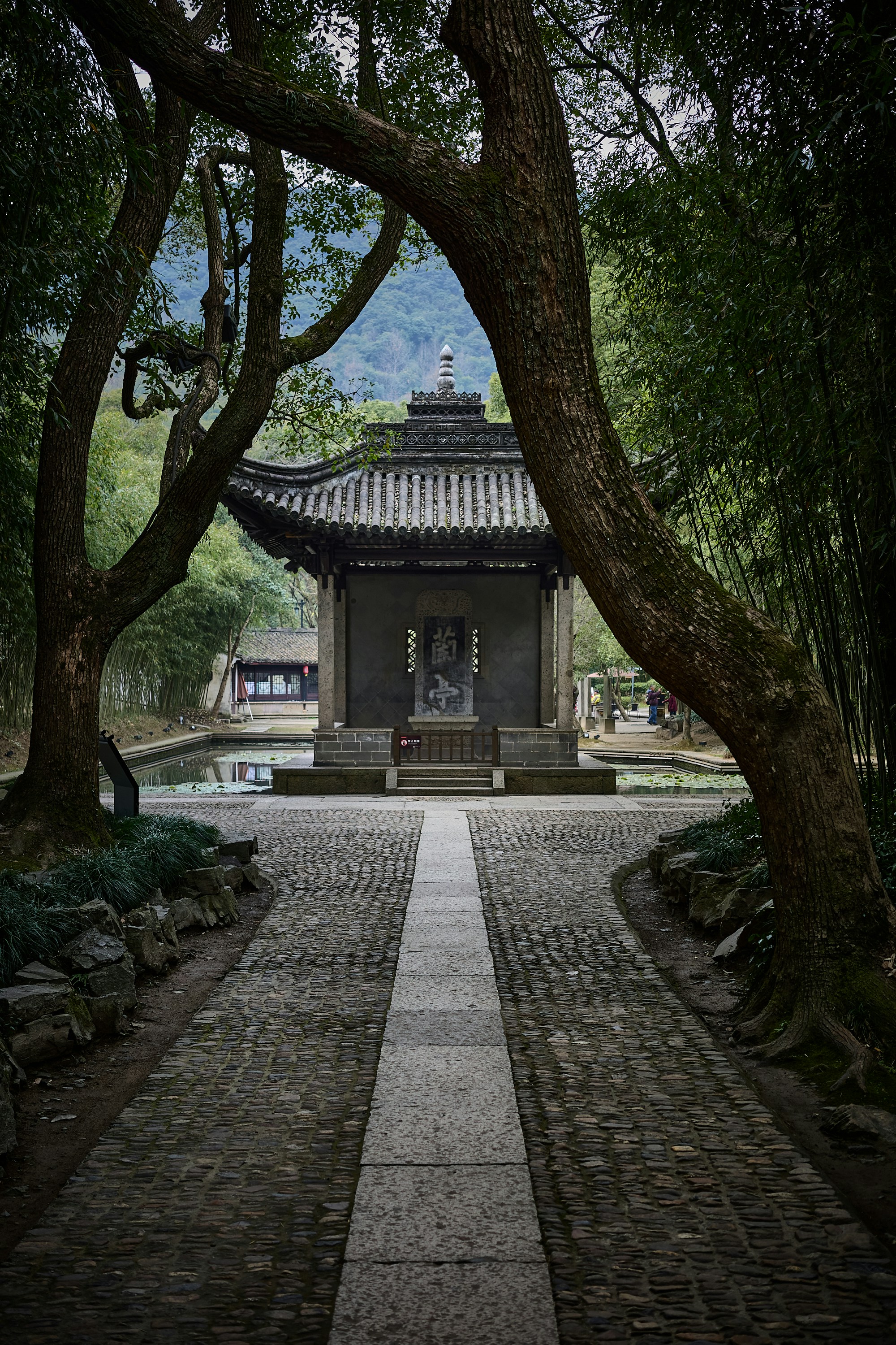 Photo by Seele An with Ricoh GR IIIx