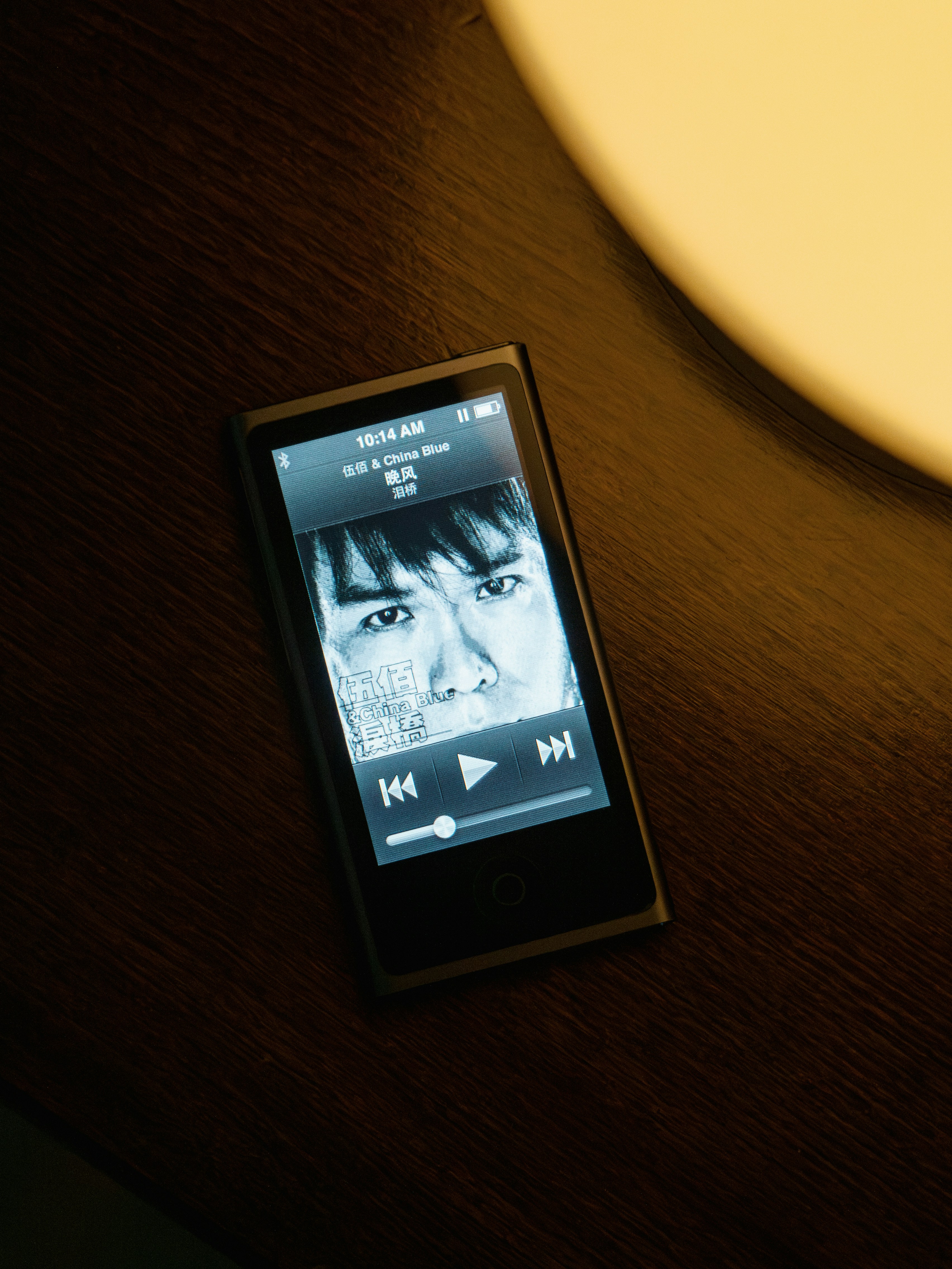 Melody in Monochrome: A Digital Retrospective