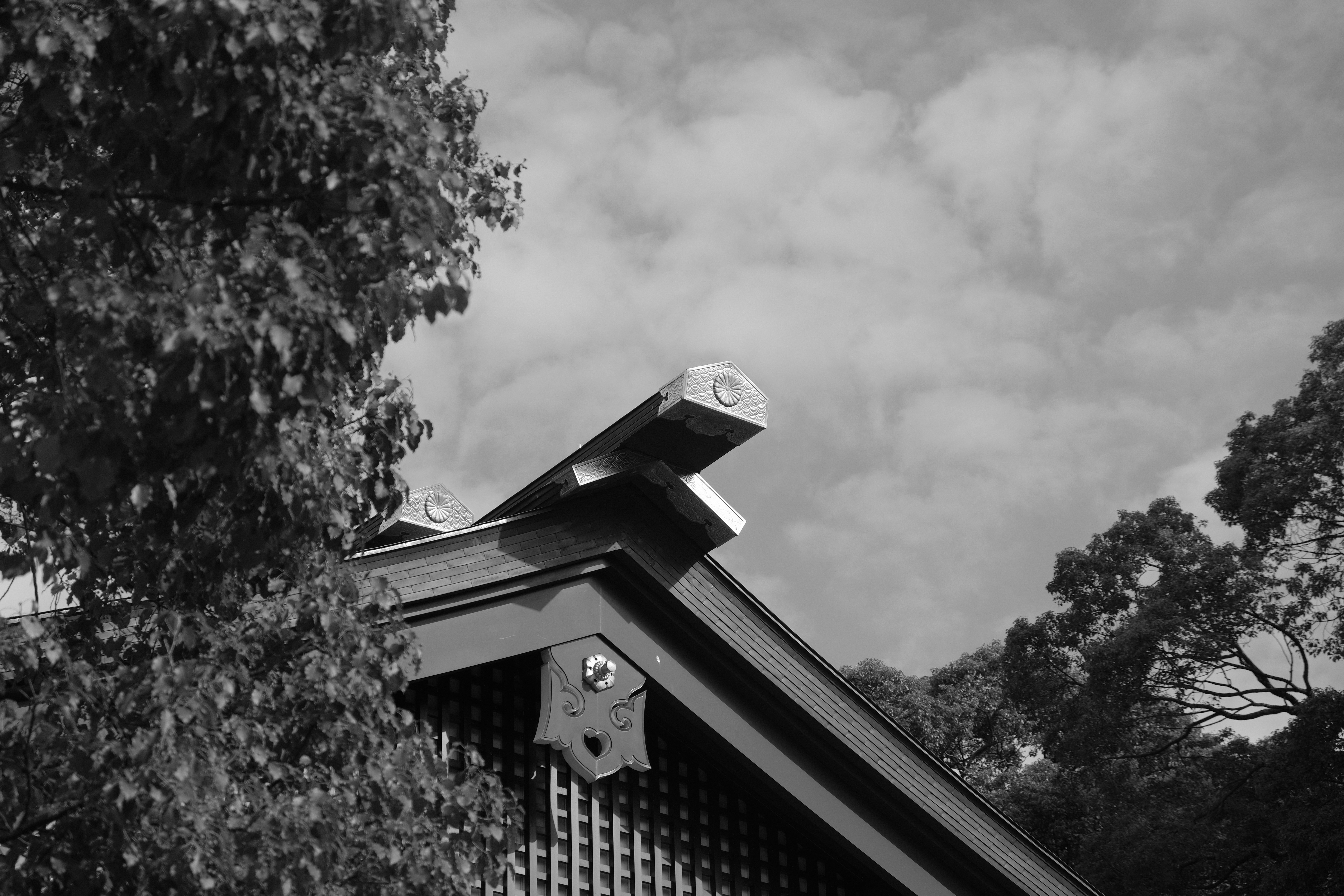 Architectural Elegance in Monochrome