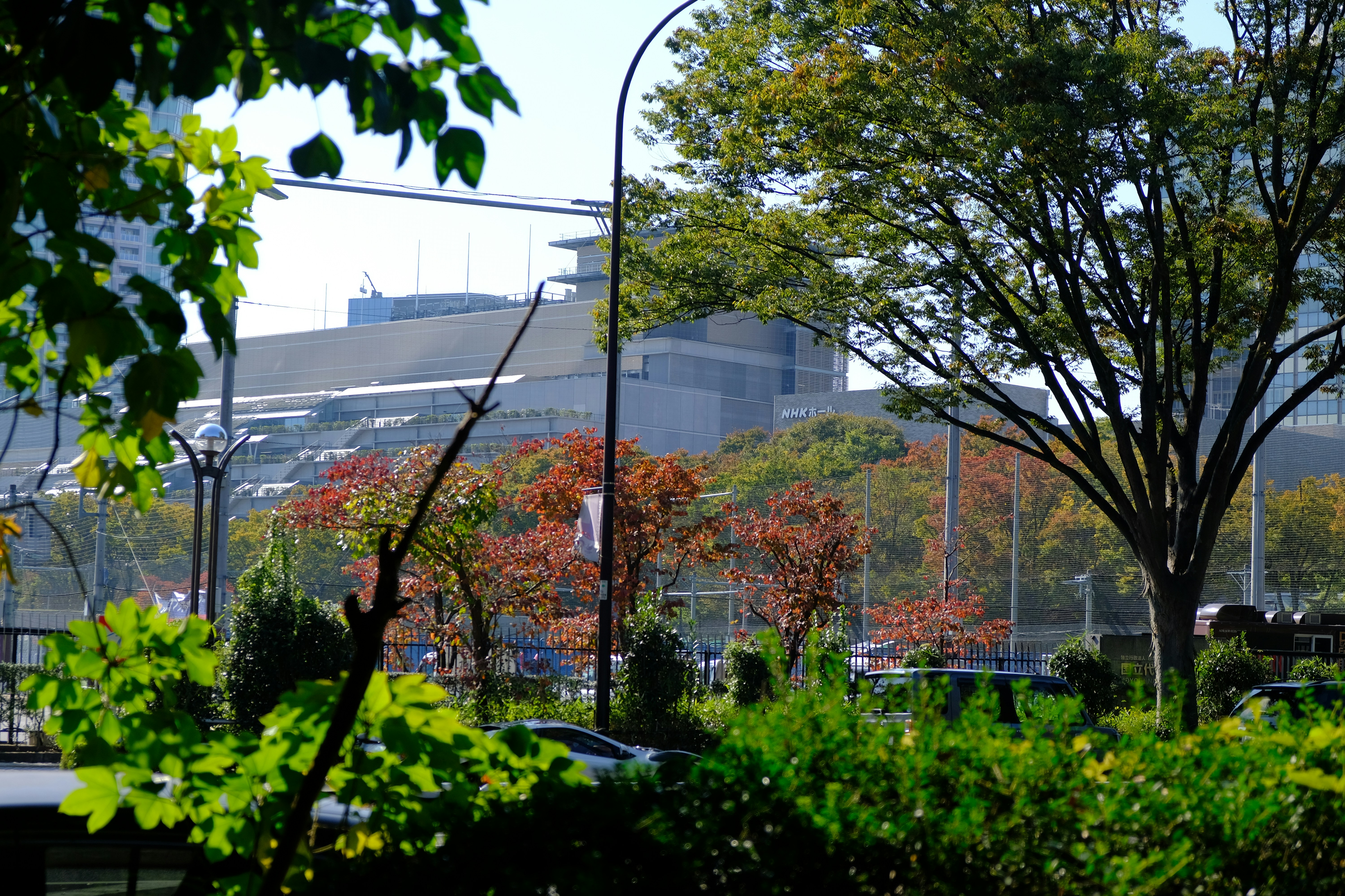 Lush green and red foliage frames a modern building in the distance under a clear blue sky.