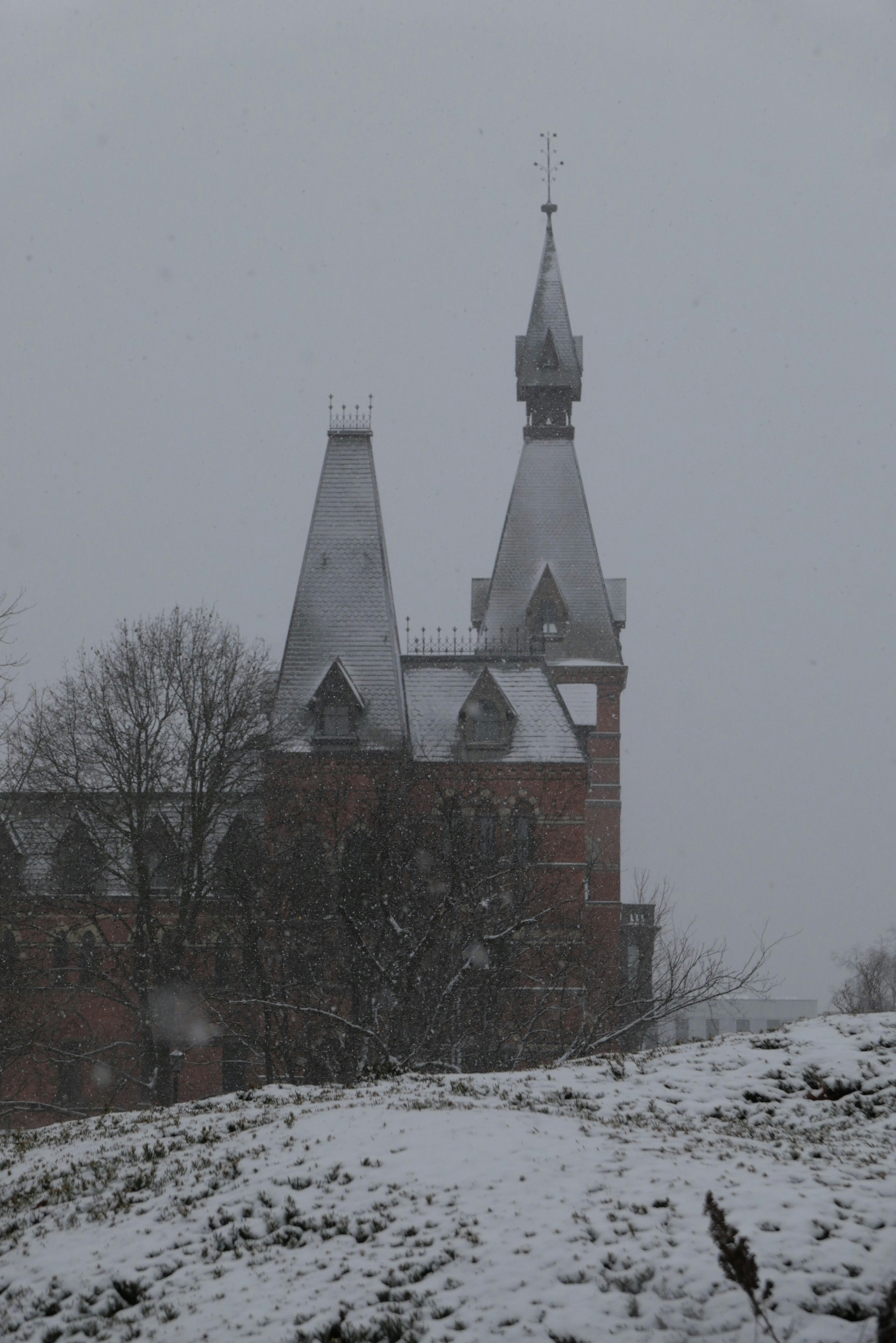 Sample photo from Leica D-Lux 7