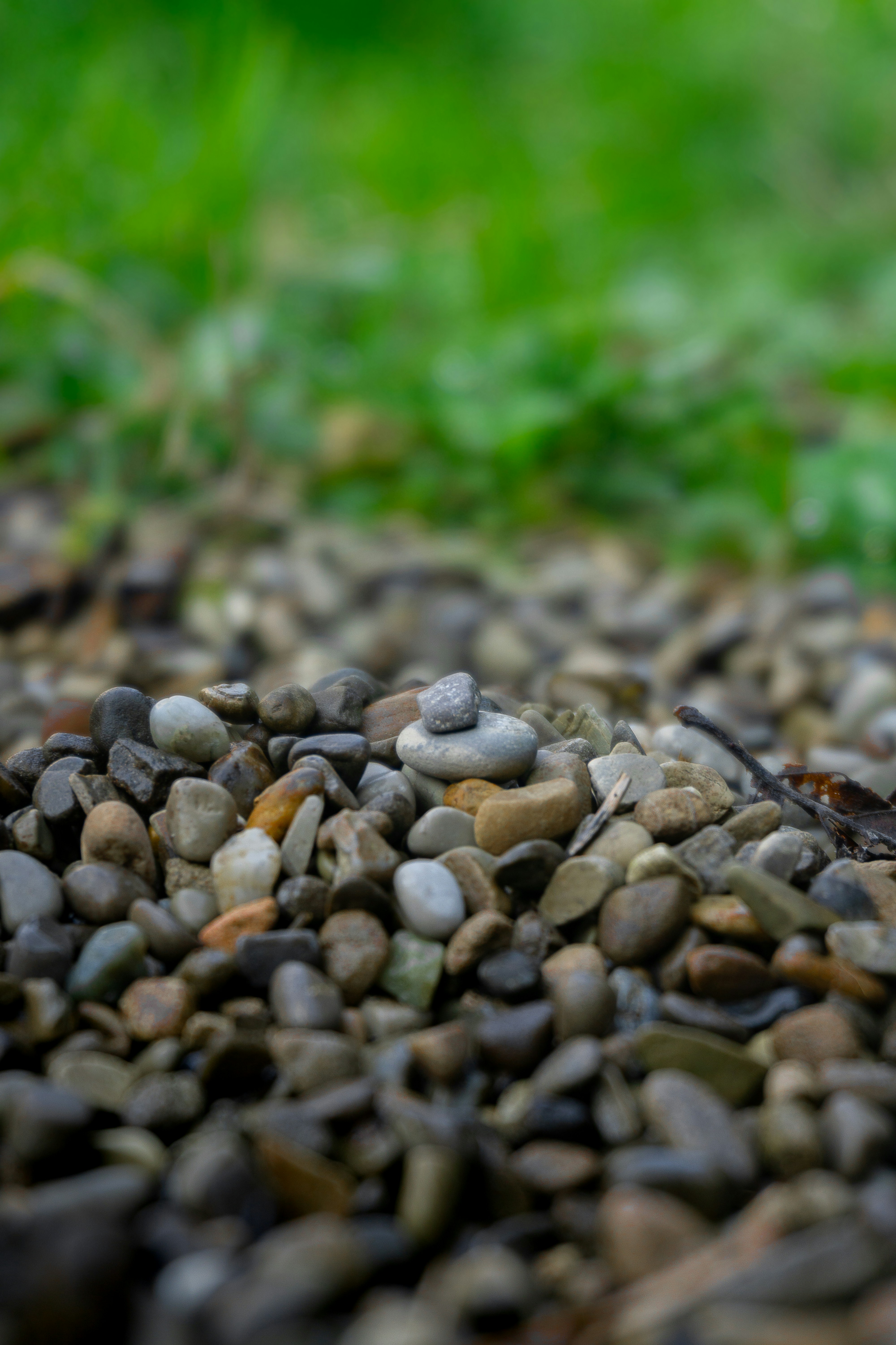 Pebble Mosaic: Close-Up Texture on a Quiet Green Ground