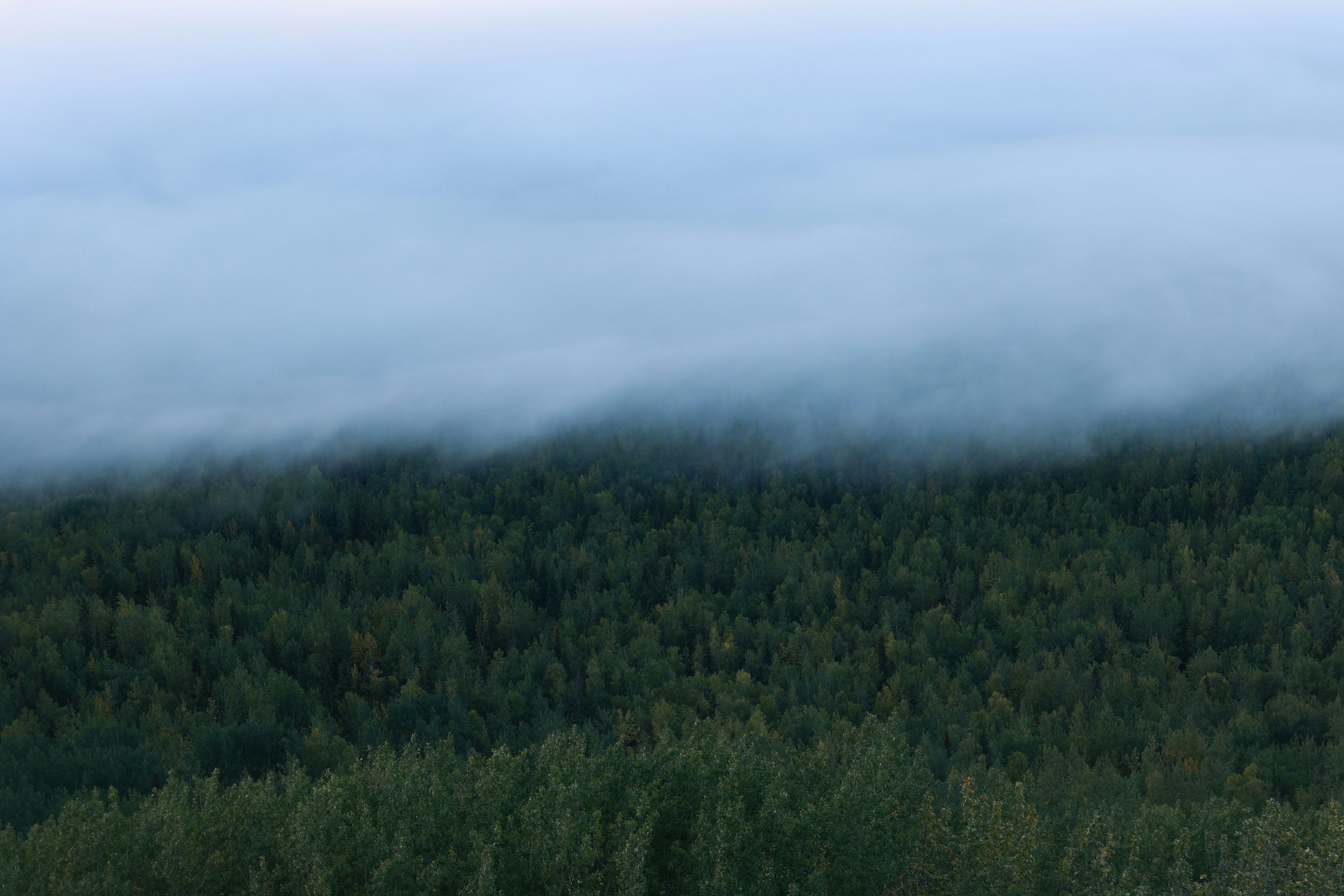 A view of a forest from a distance photo – Free Eklutna lake Image on ...