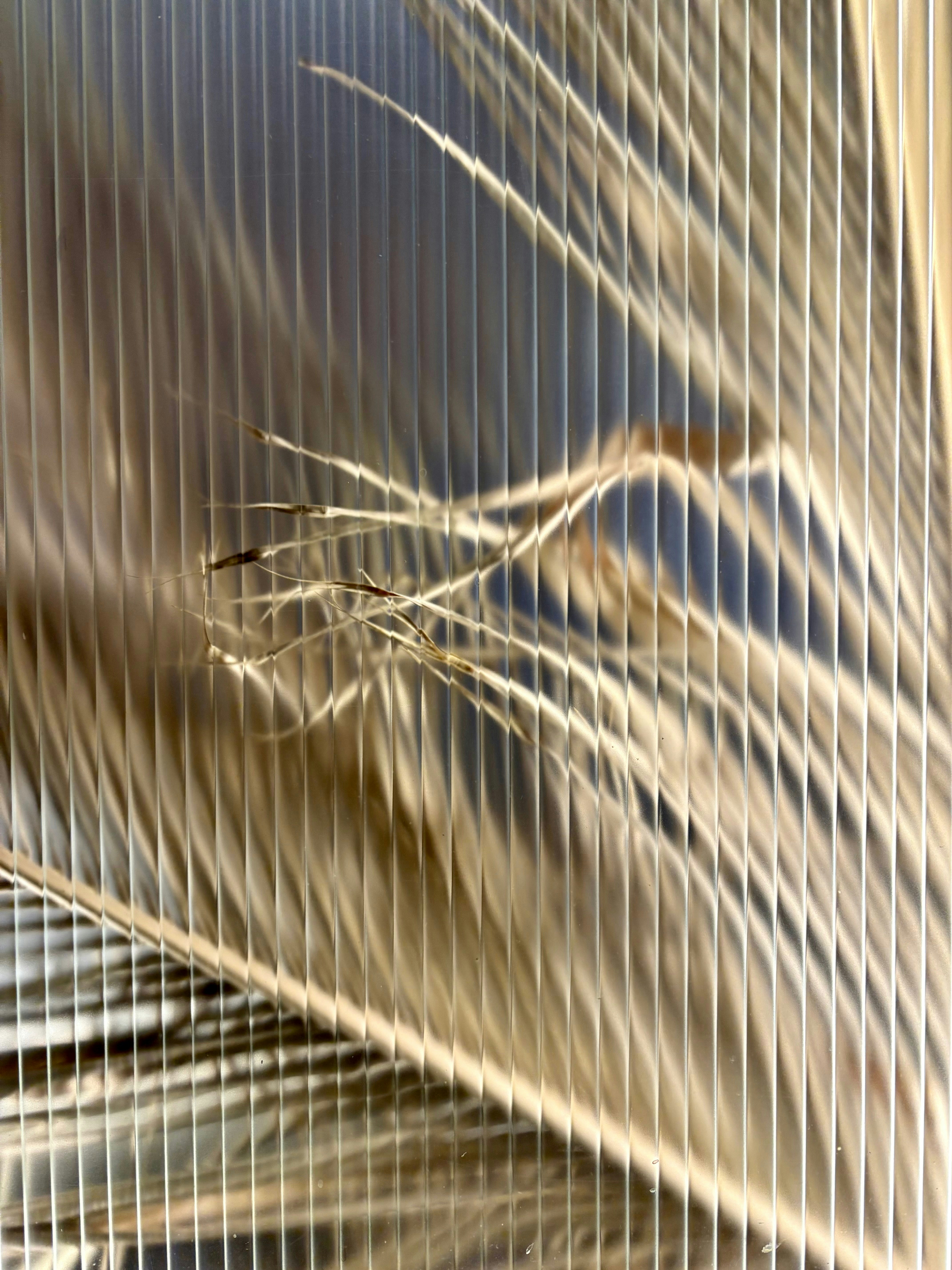 Close-up of a ribbed translucent surface with dried grasses pressed behind it, creating an abstract texture and line pattern.