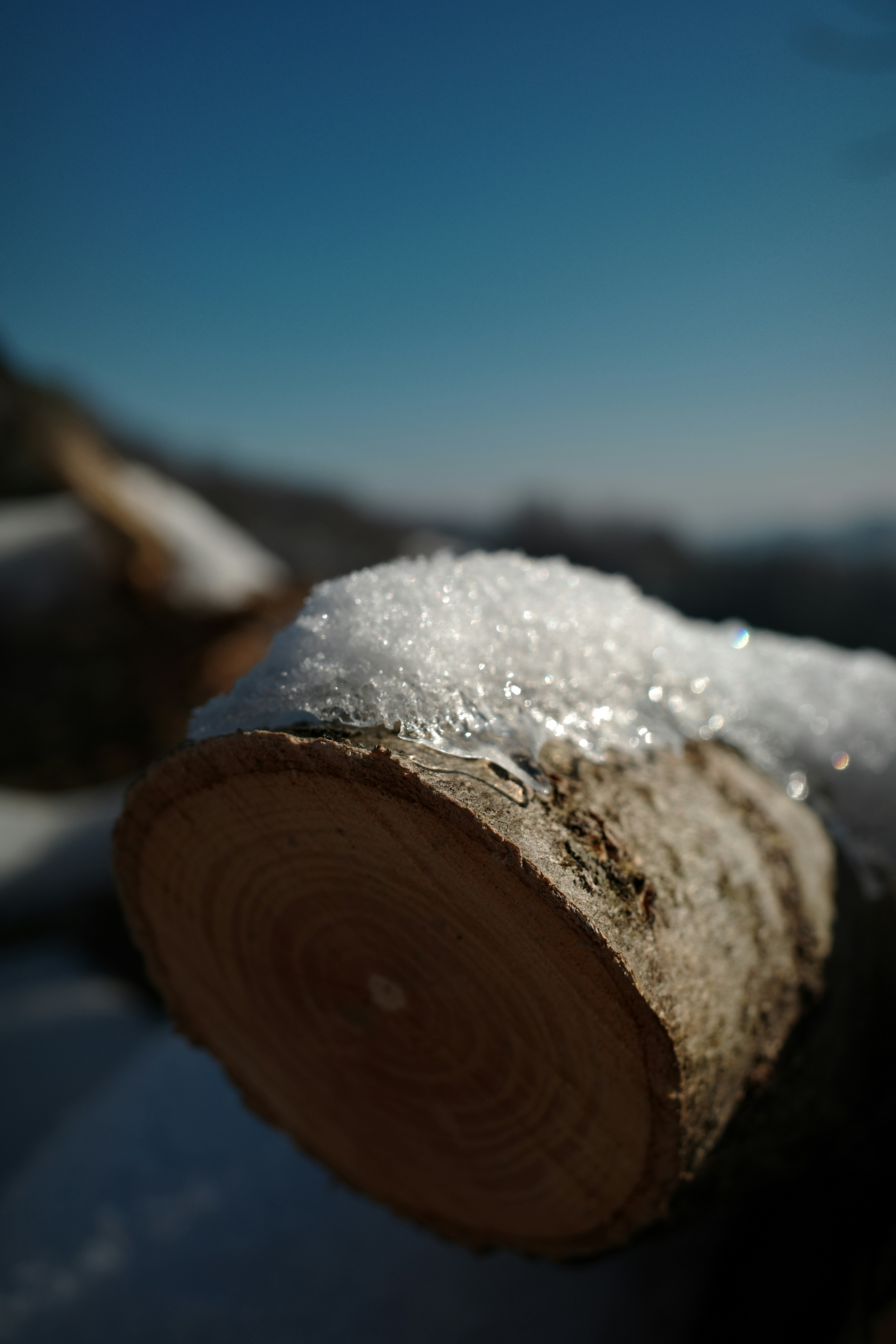 Snow-Capped Log End in Crisp Winter Light