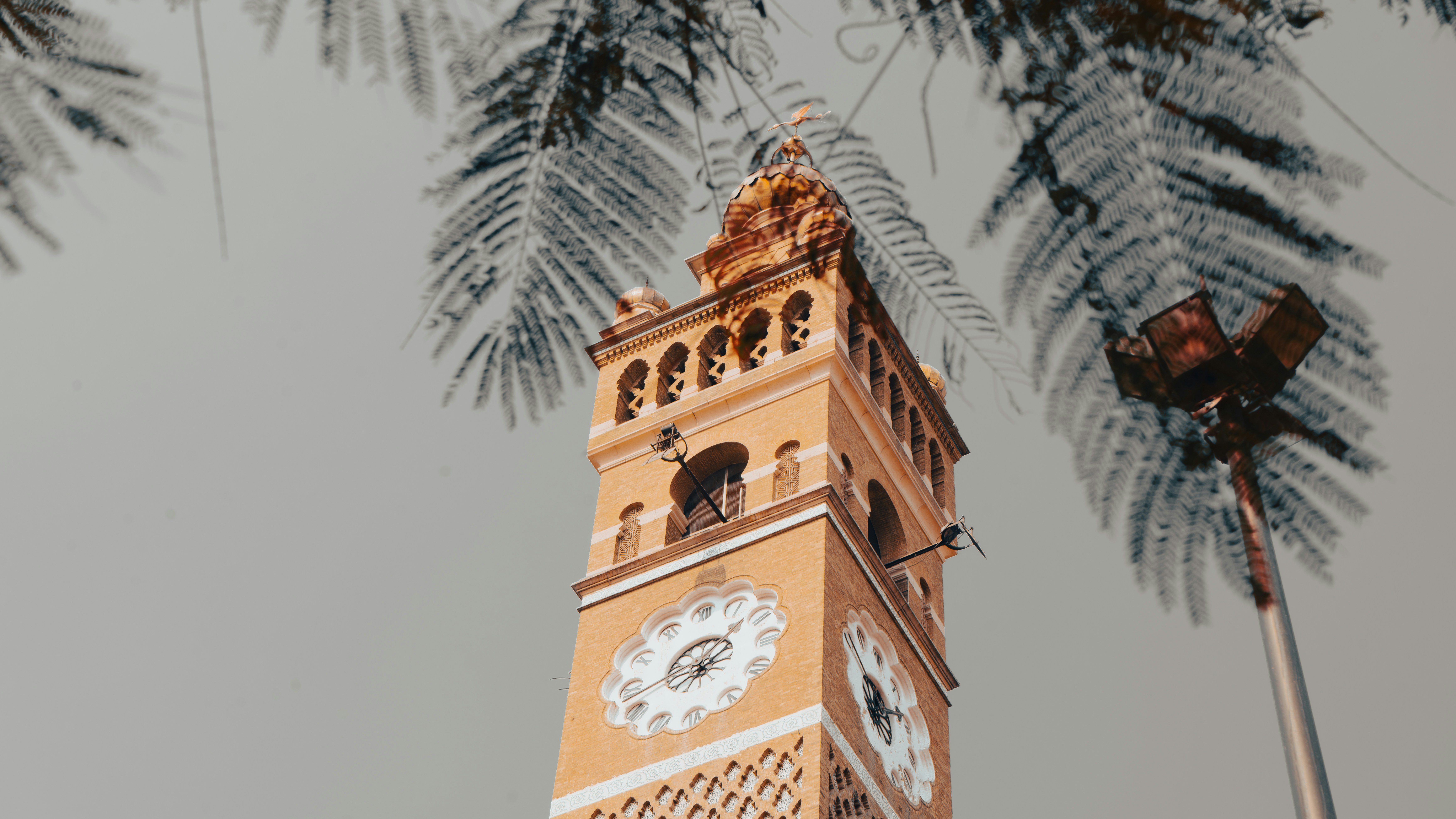 Clock tower with intricate details framed by fern leaves against a clear sky.