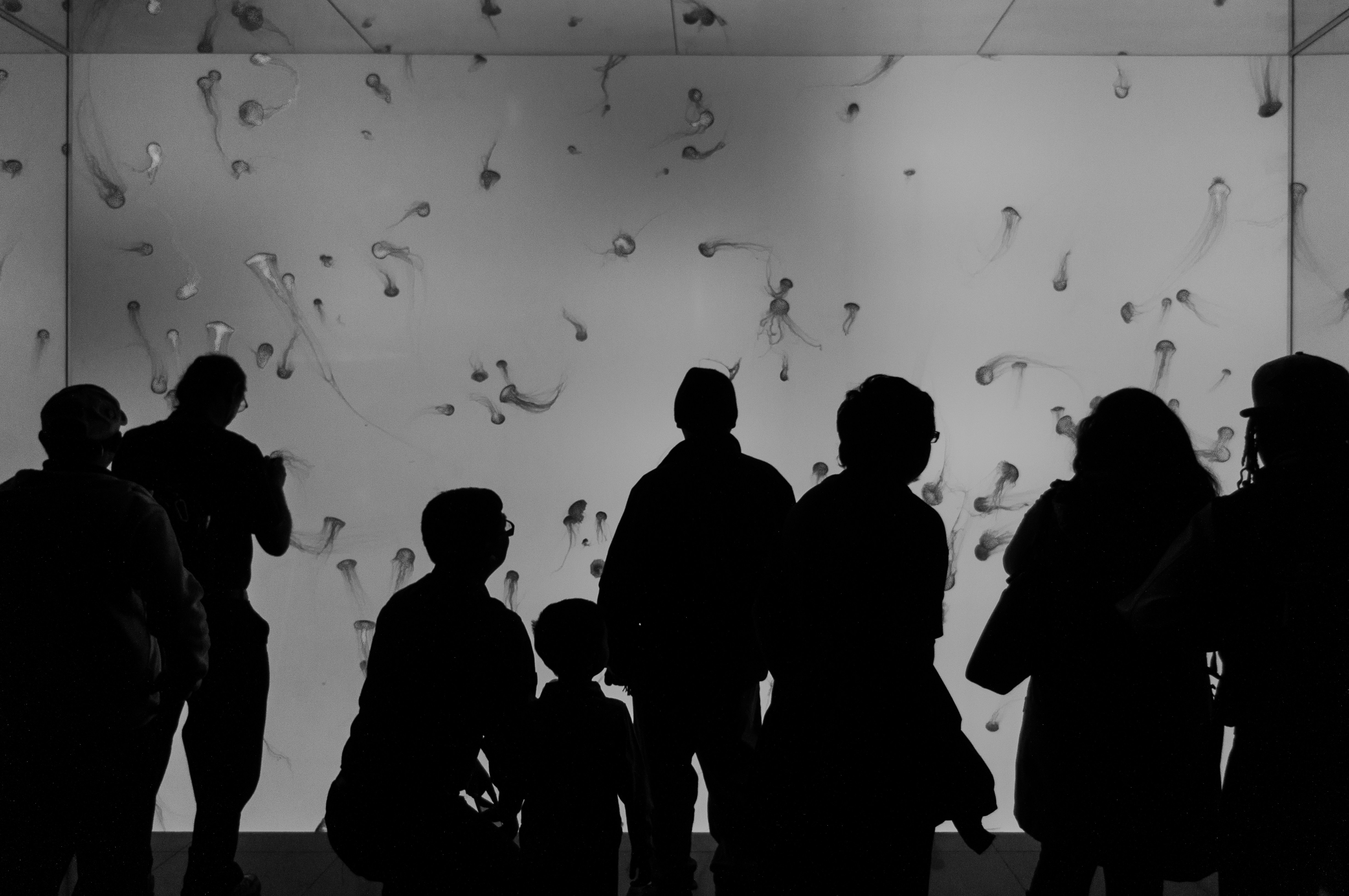 Sample photo from Sony Alpha F3