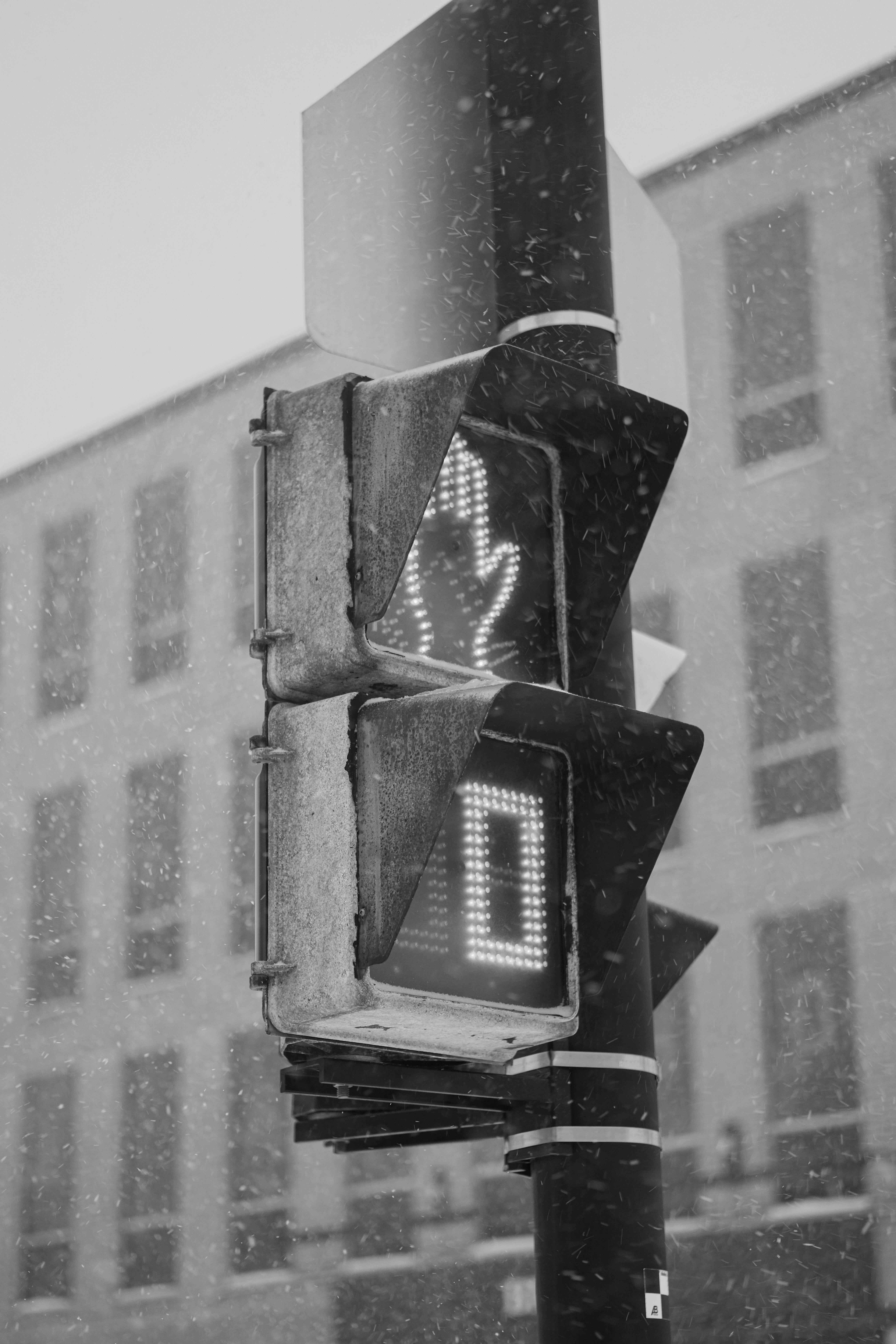 Navigating the Urban Chill