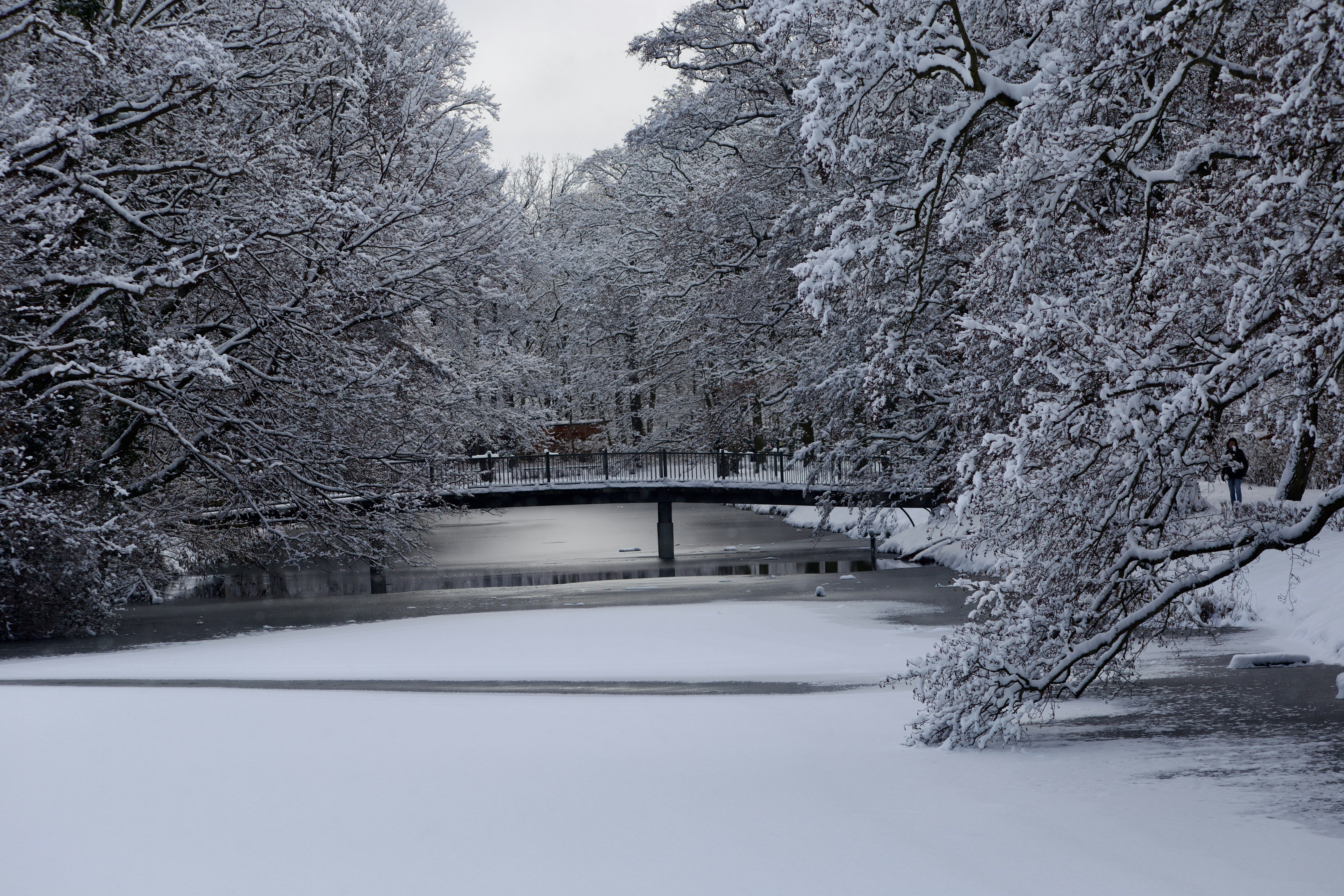 Snow-laden trees frame a serene bridge over a partially frozen river.