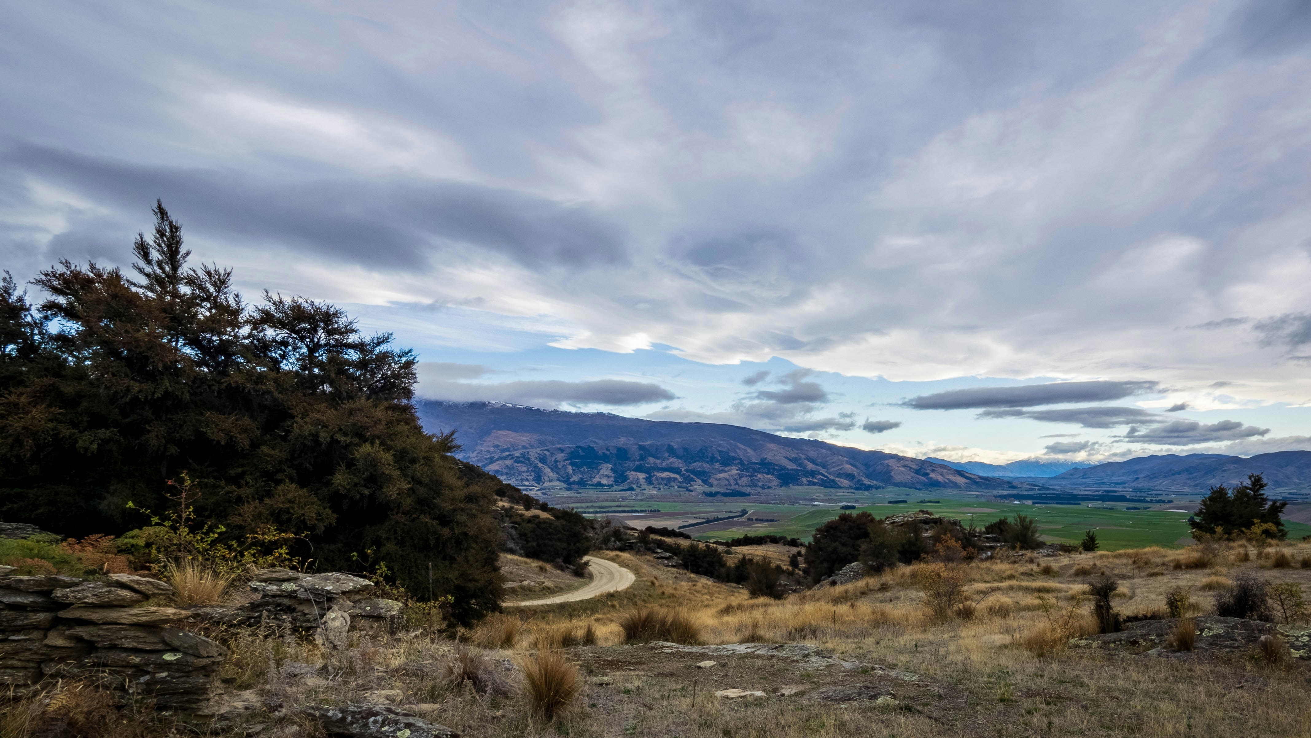 Un chemin de terre au milieu d’un champ photo – Image gratuite de ...