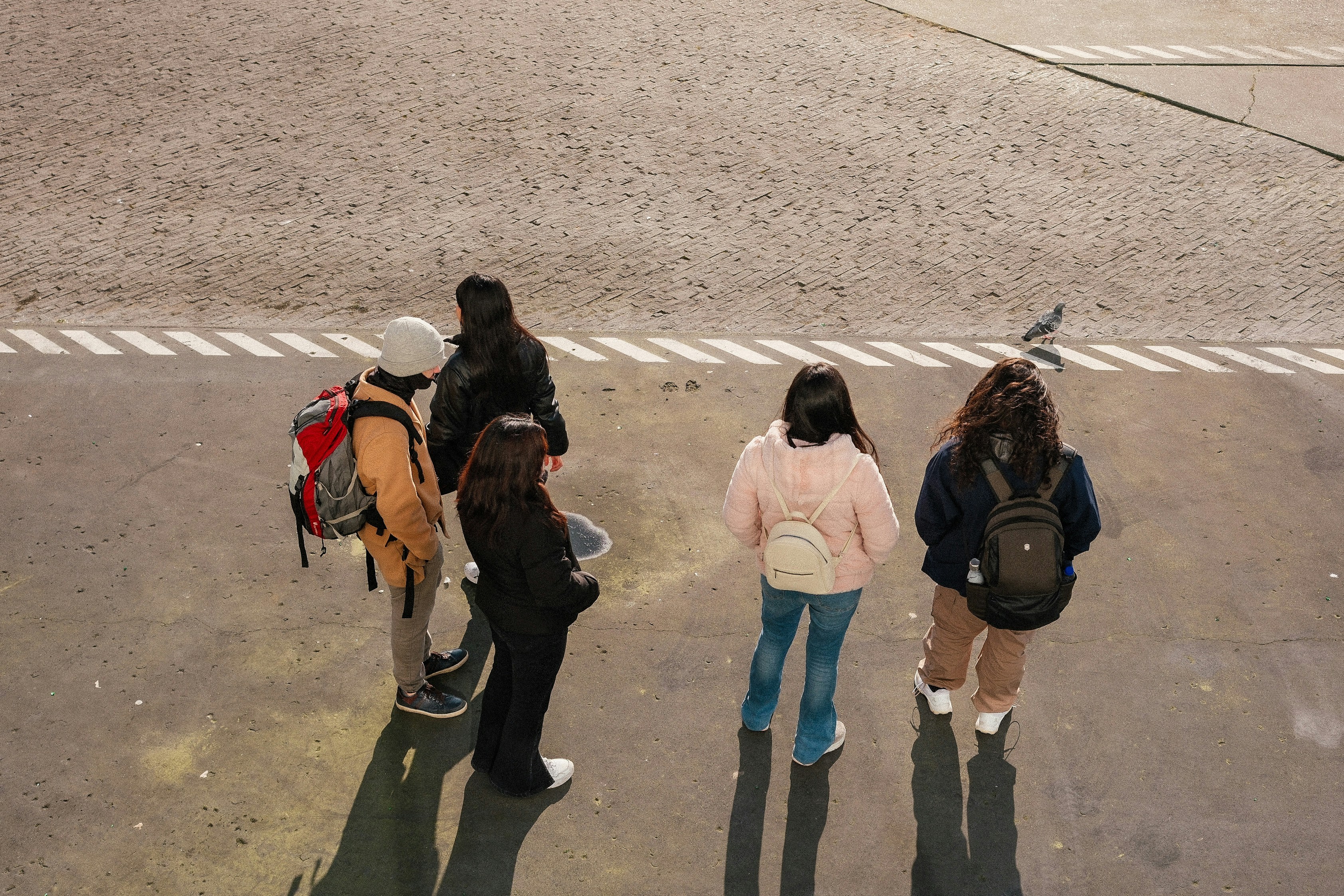 Four people stand on a sunlit pavement casting long shadows as a pigeon walks nearby.