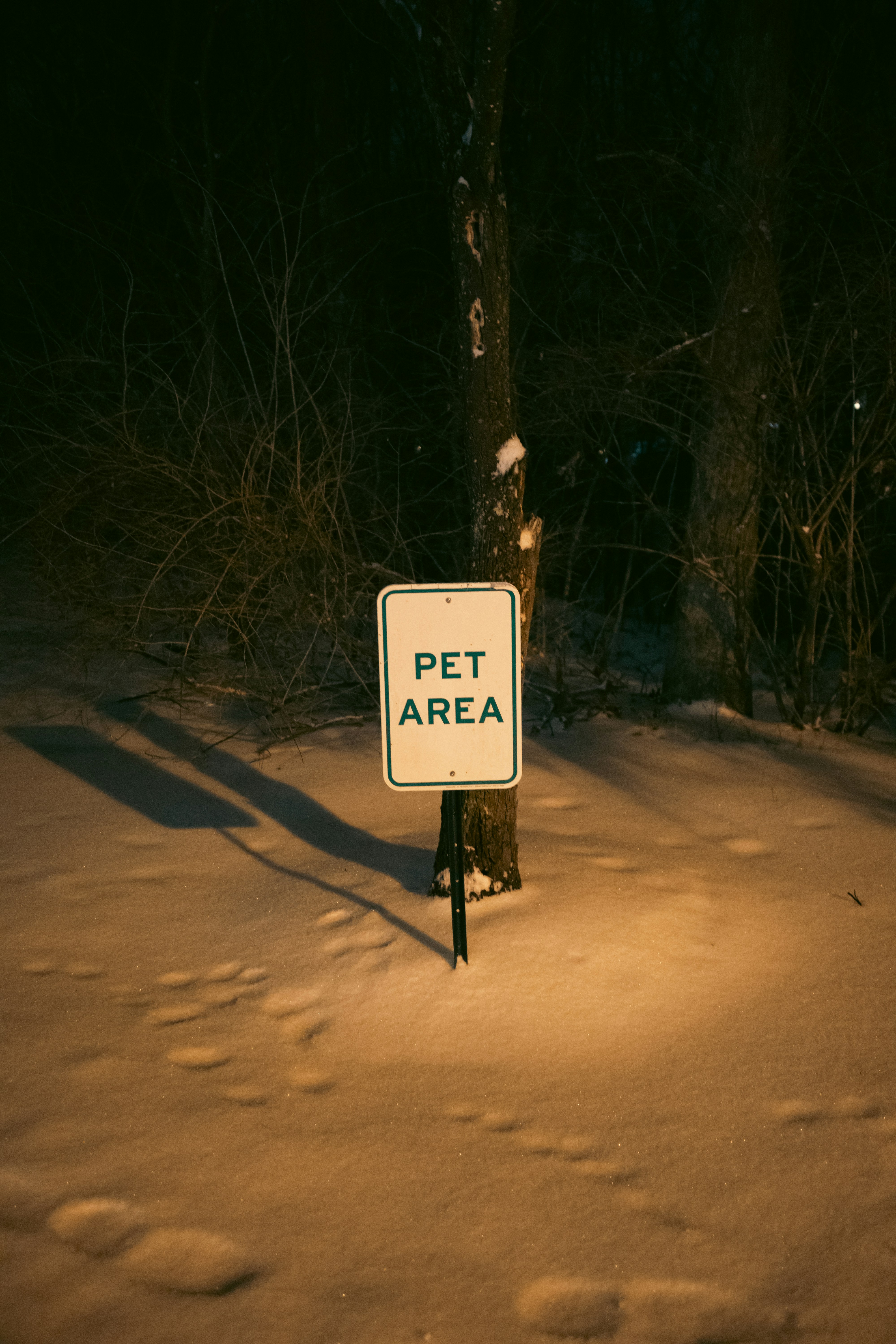 Winter Night Sign: The Pet Area in Snowlit Silence