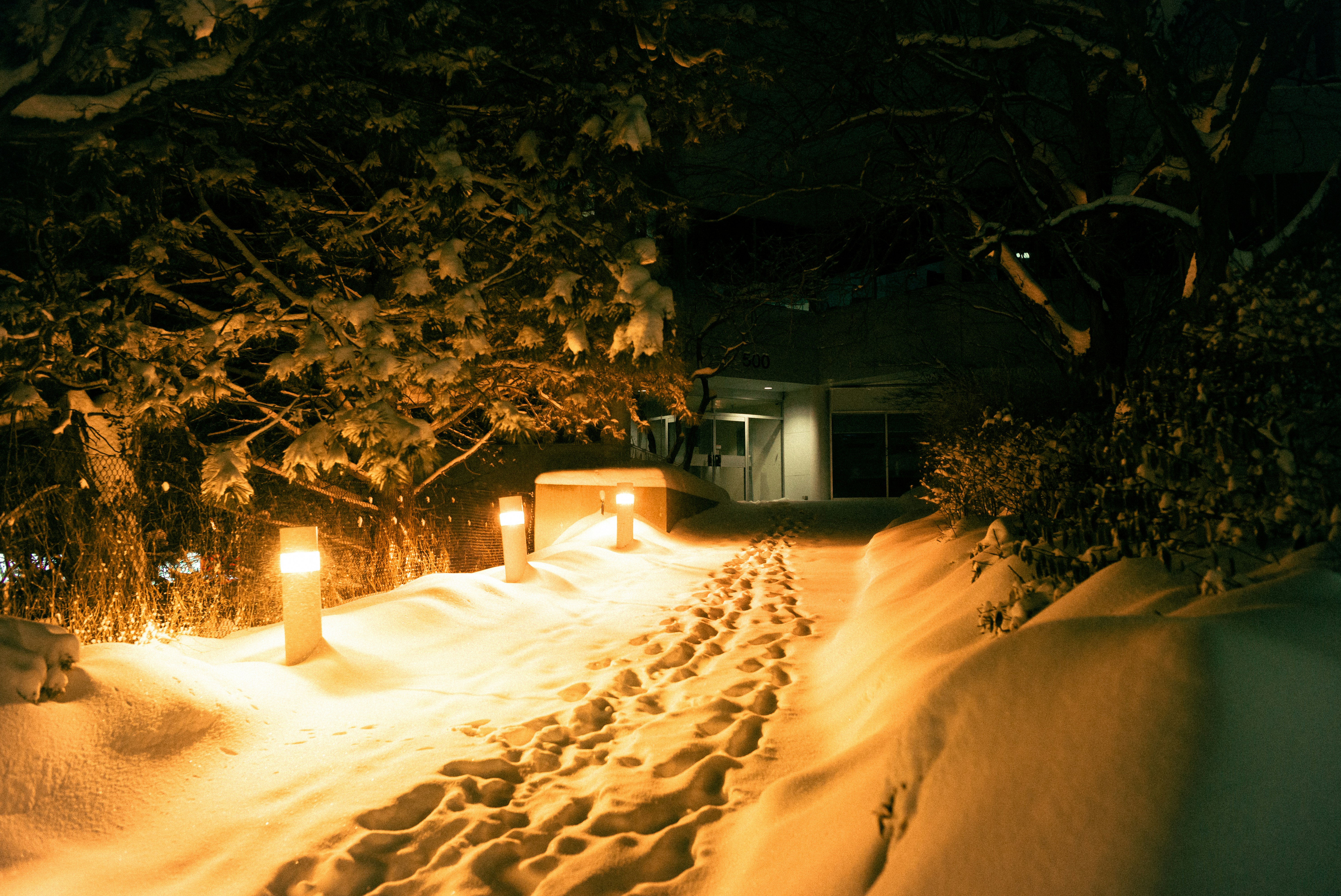 Footprints lead through a snow-covered path lit by warm streetlights, with trees and bushes lining the way.