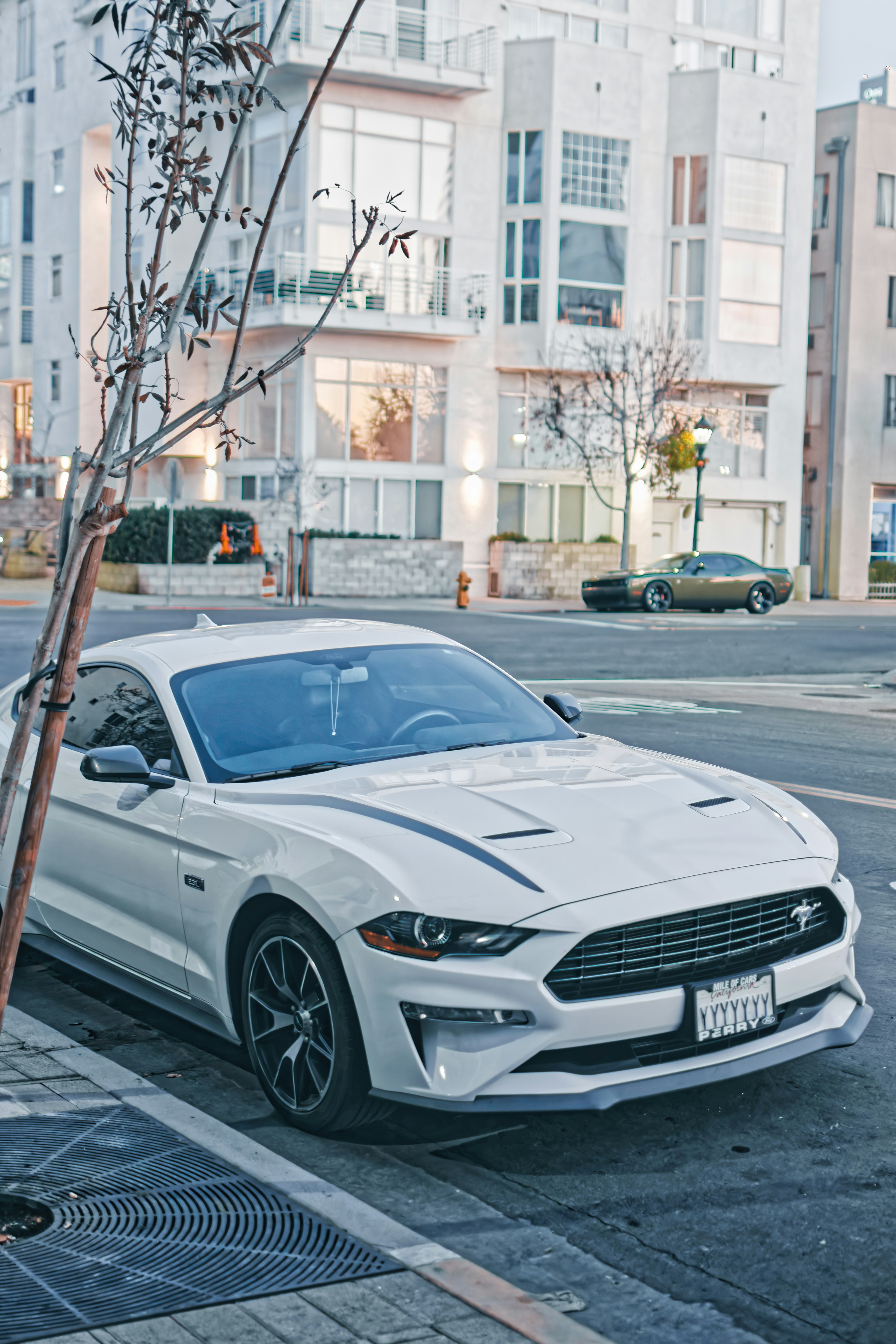 Curbside Command: A White Mustang Framing a Quiet City Block