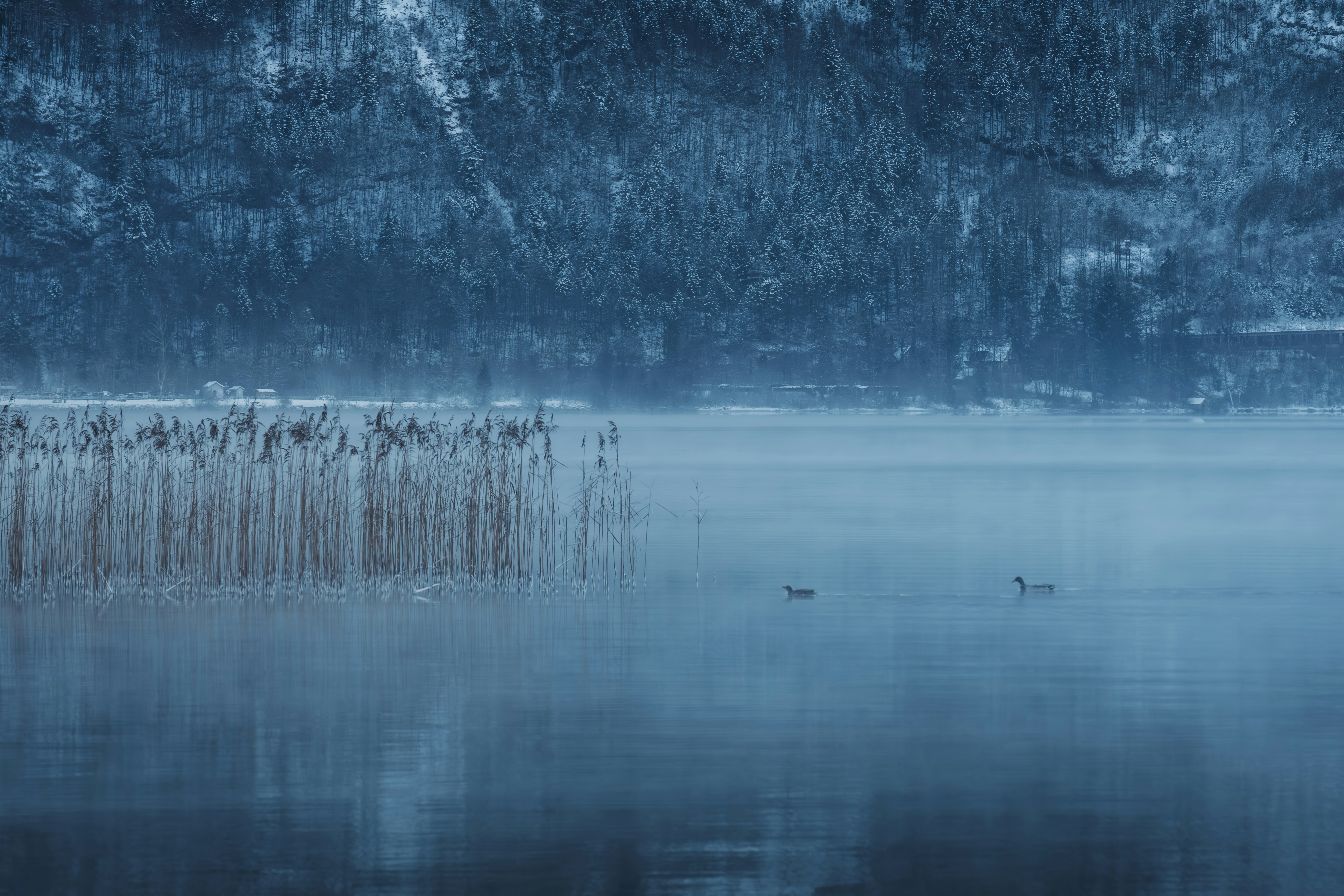 Calming Background Pictures | Download Free Images on Unsplash